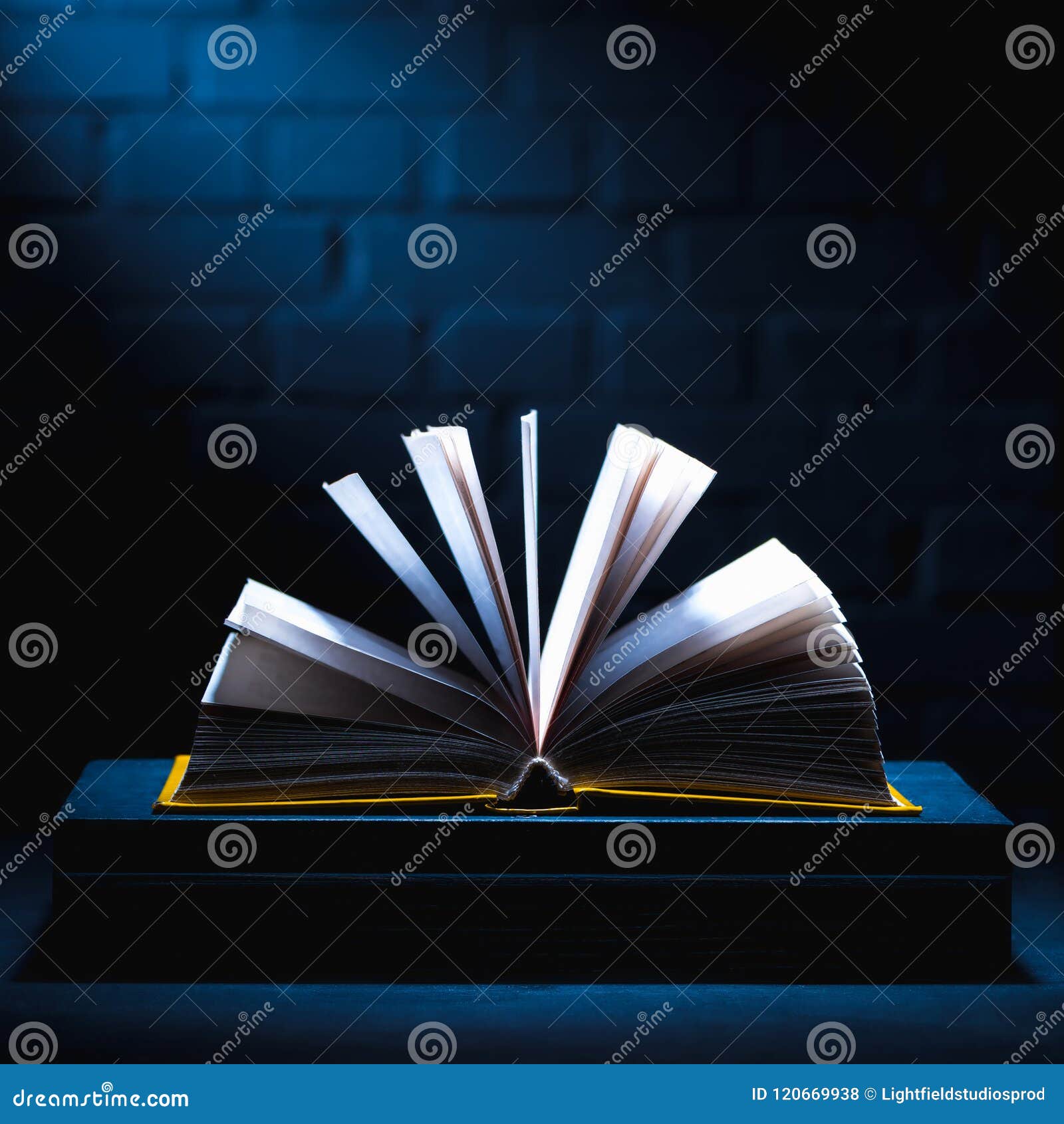 Open book with empty pages stock photo. Image of knowledge - 120669938