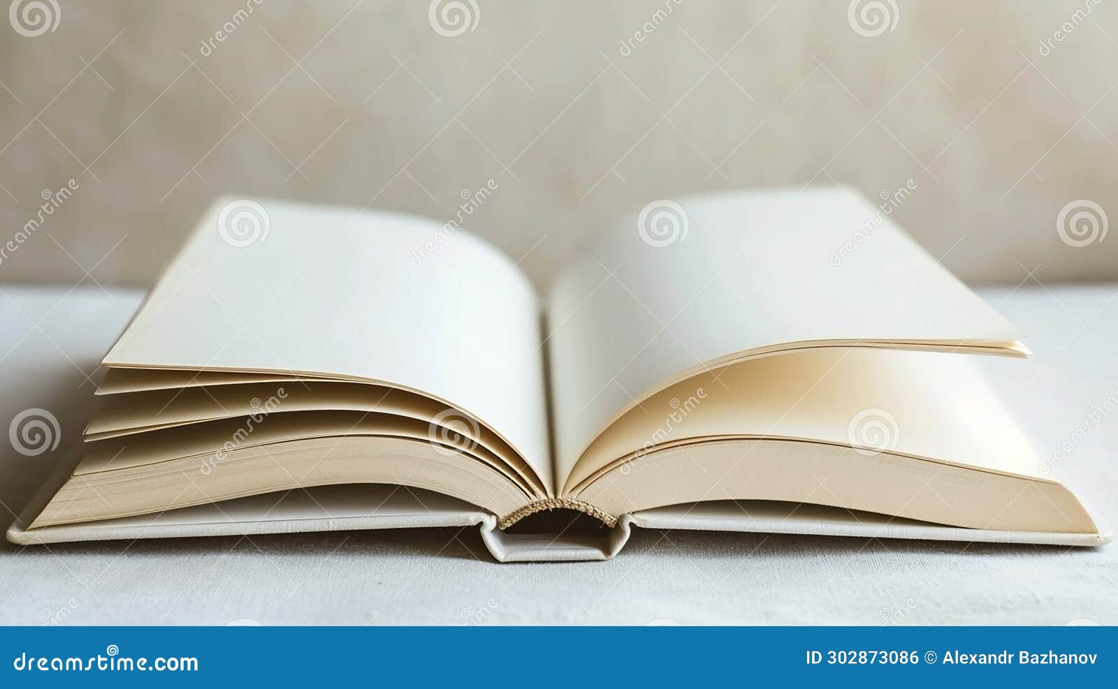 Open Book with Empty White Pages Stock Illustration - Illustration of ...