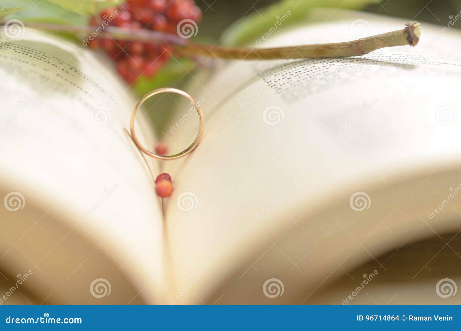 An Open Book with an Engagement Ring As a Symbol of Love. Stock Photo ...