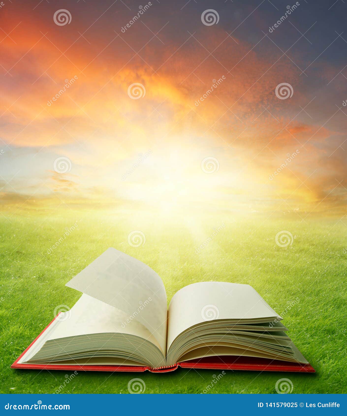 Open book in field stock image. Image of imagination - 141579025