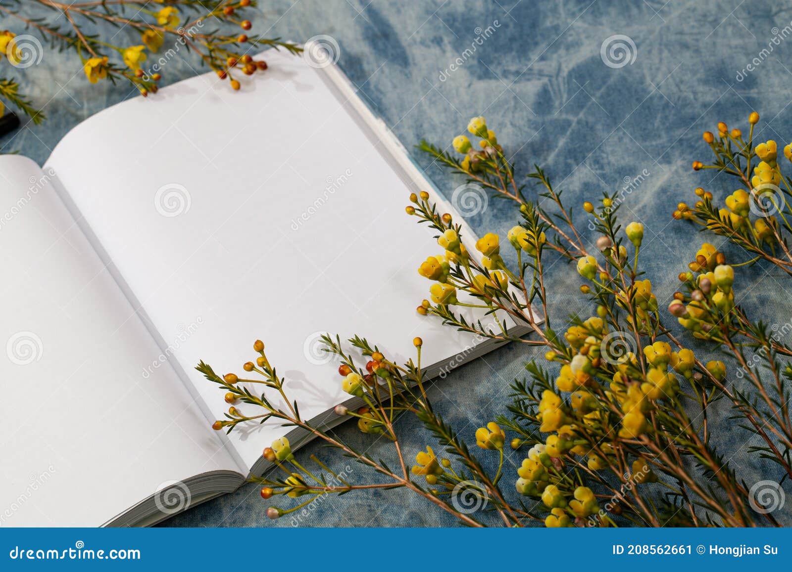 Open Book and Flower on the Blue Cloth Stock Image - Image of business ...