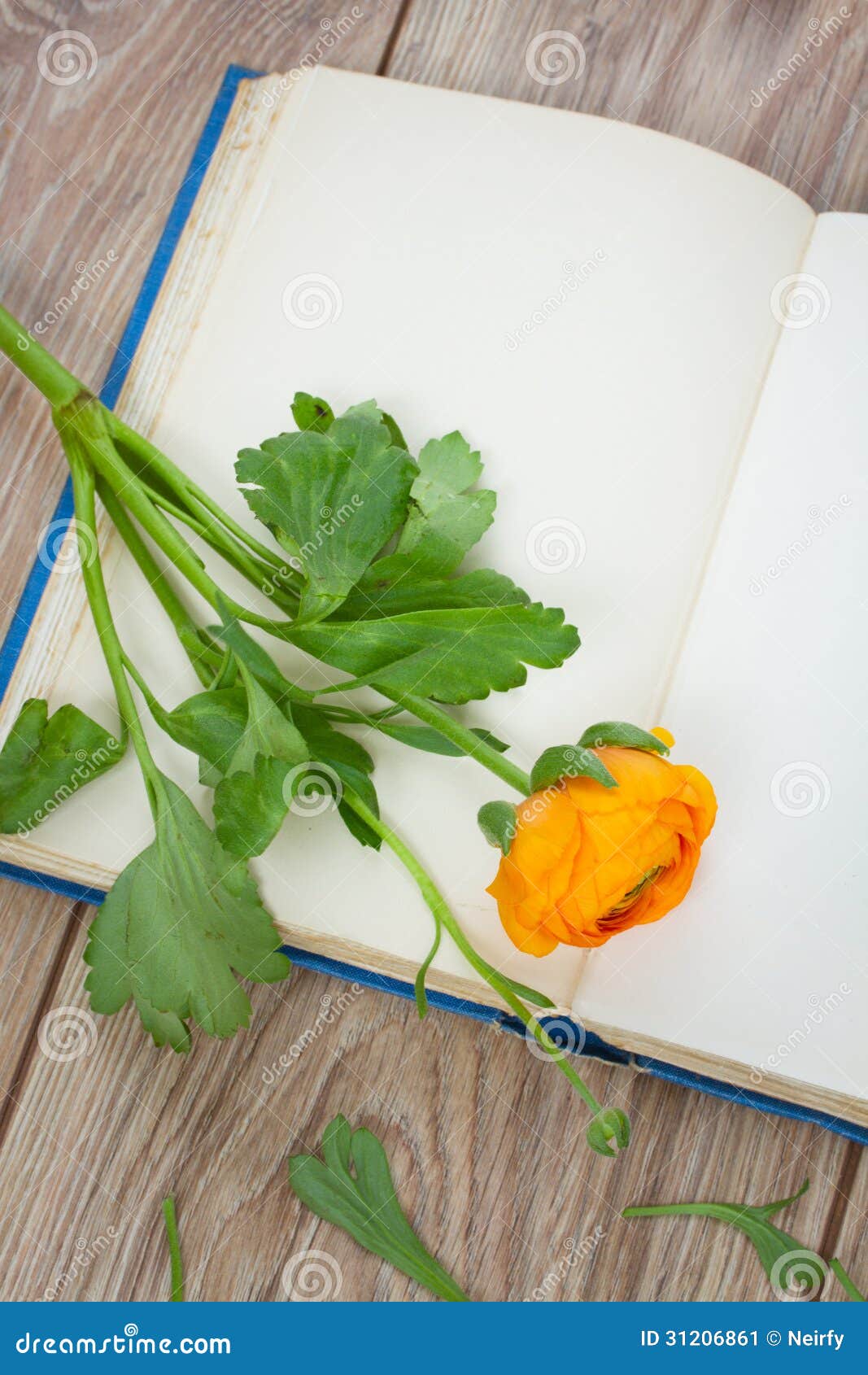 Open book with flower stock image. Image of green, decor - 31206861
