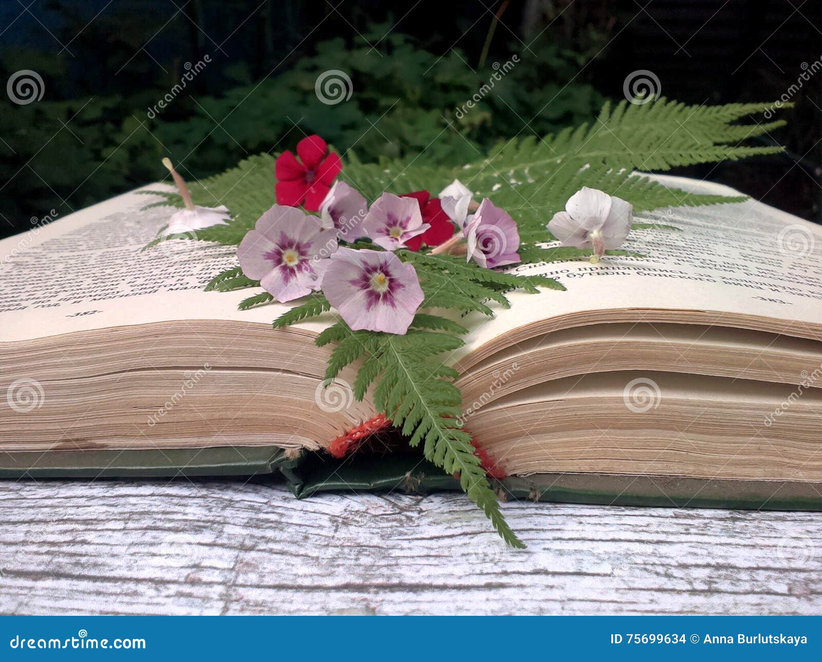 Open book stock photo. Image of pages, colors, composition - 75699634