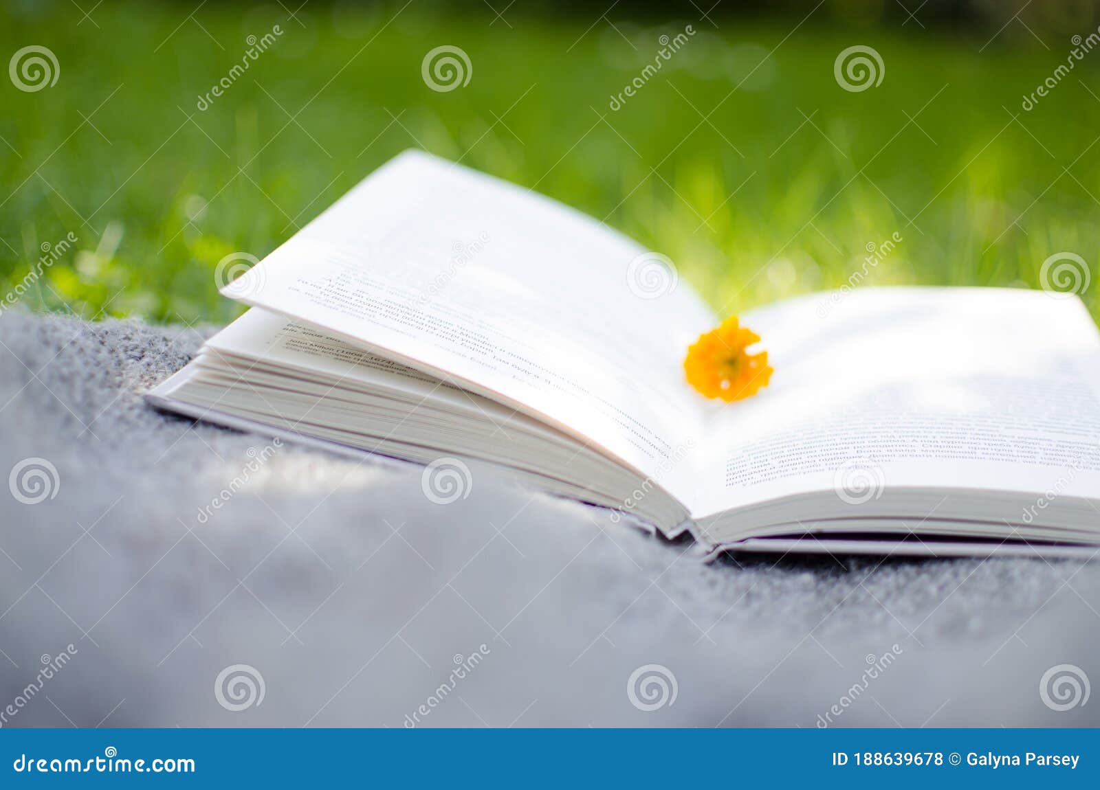 Open Book and Flowers for a Good Rest Stock Photo - Image of interior ...