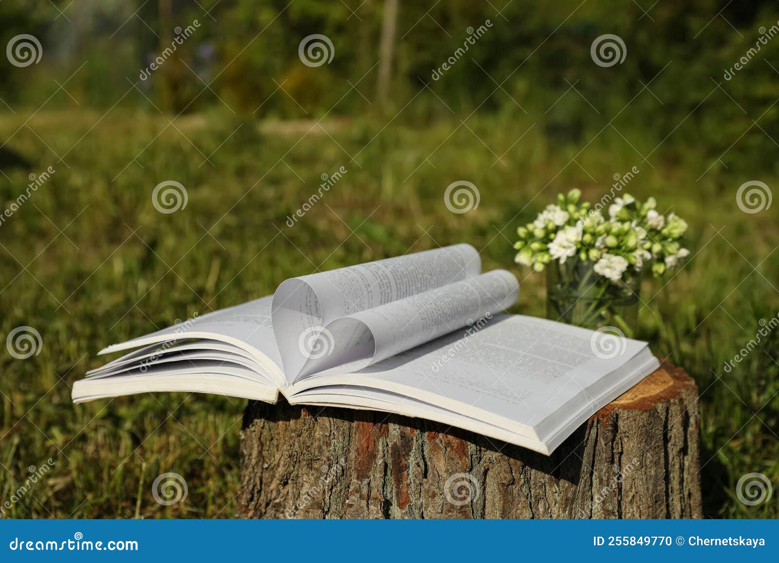 Open Book and Flowers on Tree Stump Outdoors Stock Photo - Image of ...