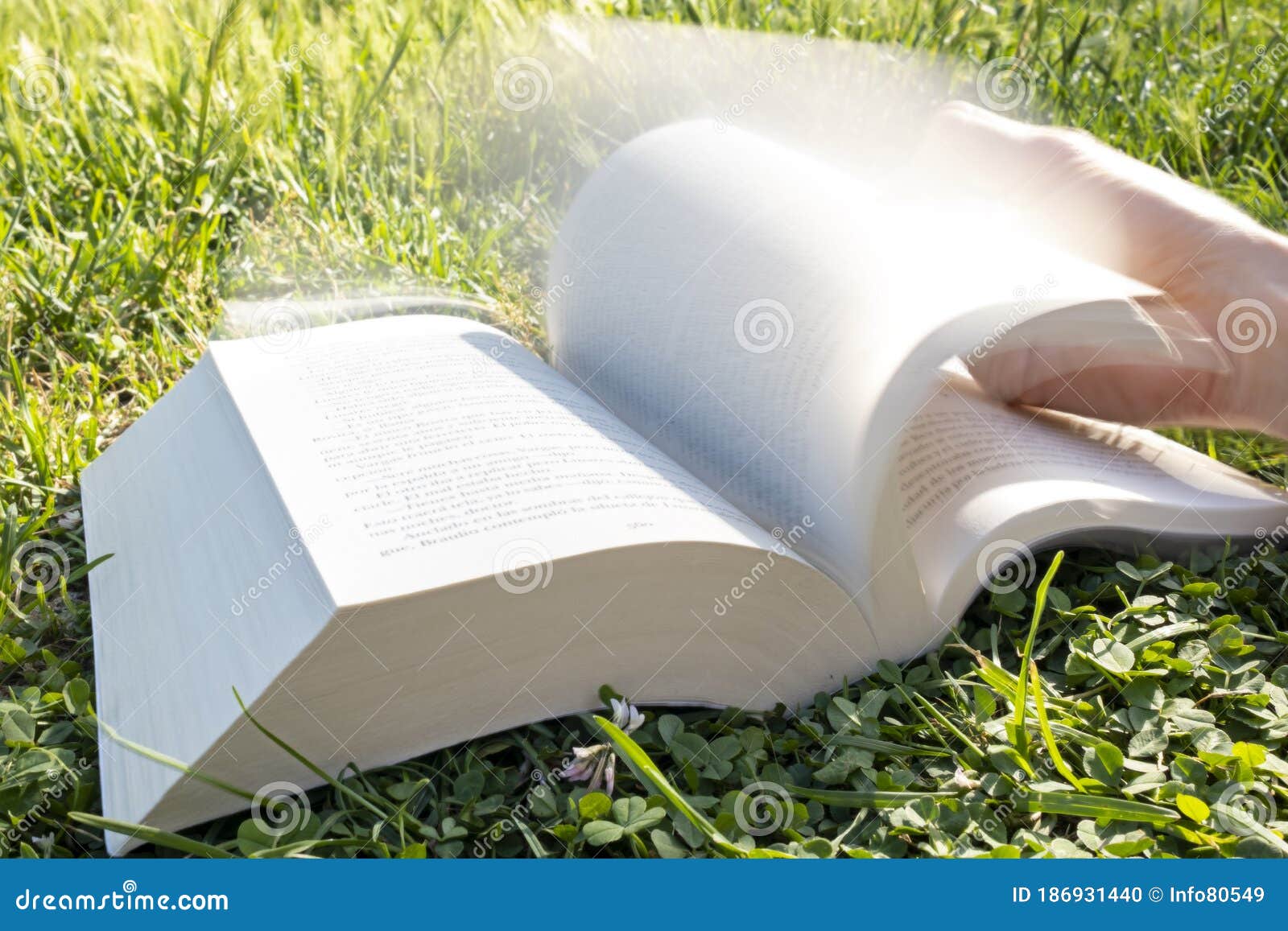 Open Book with Flying Pages Stock Photo - Image of white, flying: 186931440