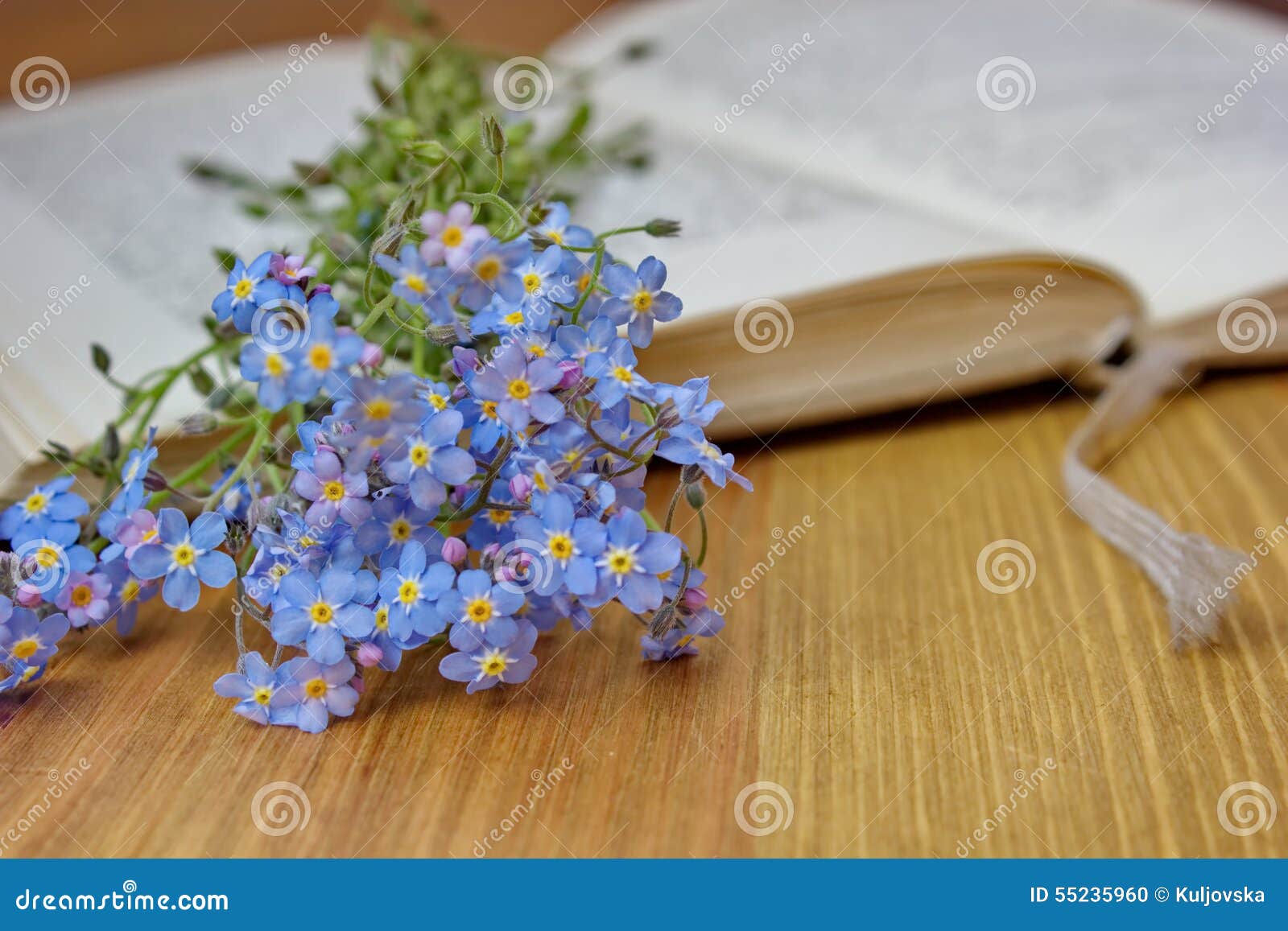 Open Book Forget Me Nots Stock Photos - Free & Royalty-Free Stock ...