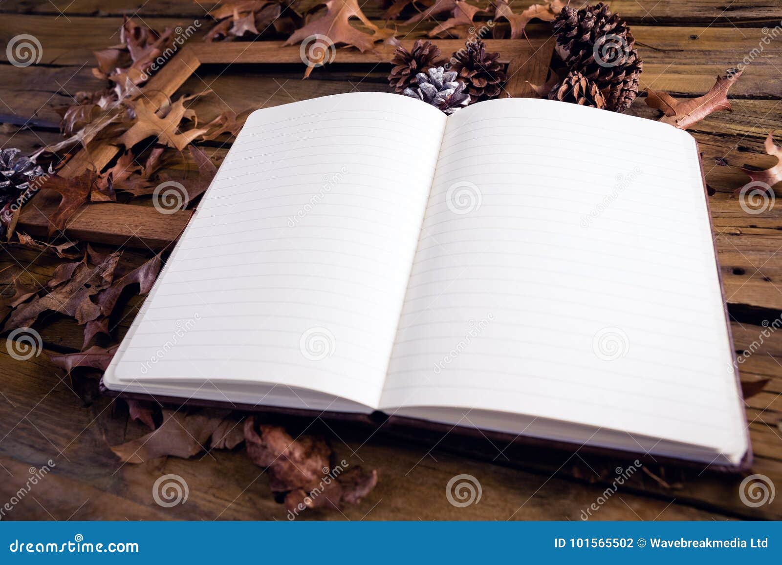 Open Book and Frame on Wooden Table Stock Photo - Image of pine, cone ...