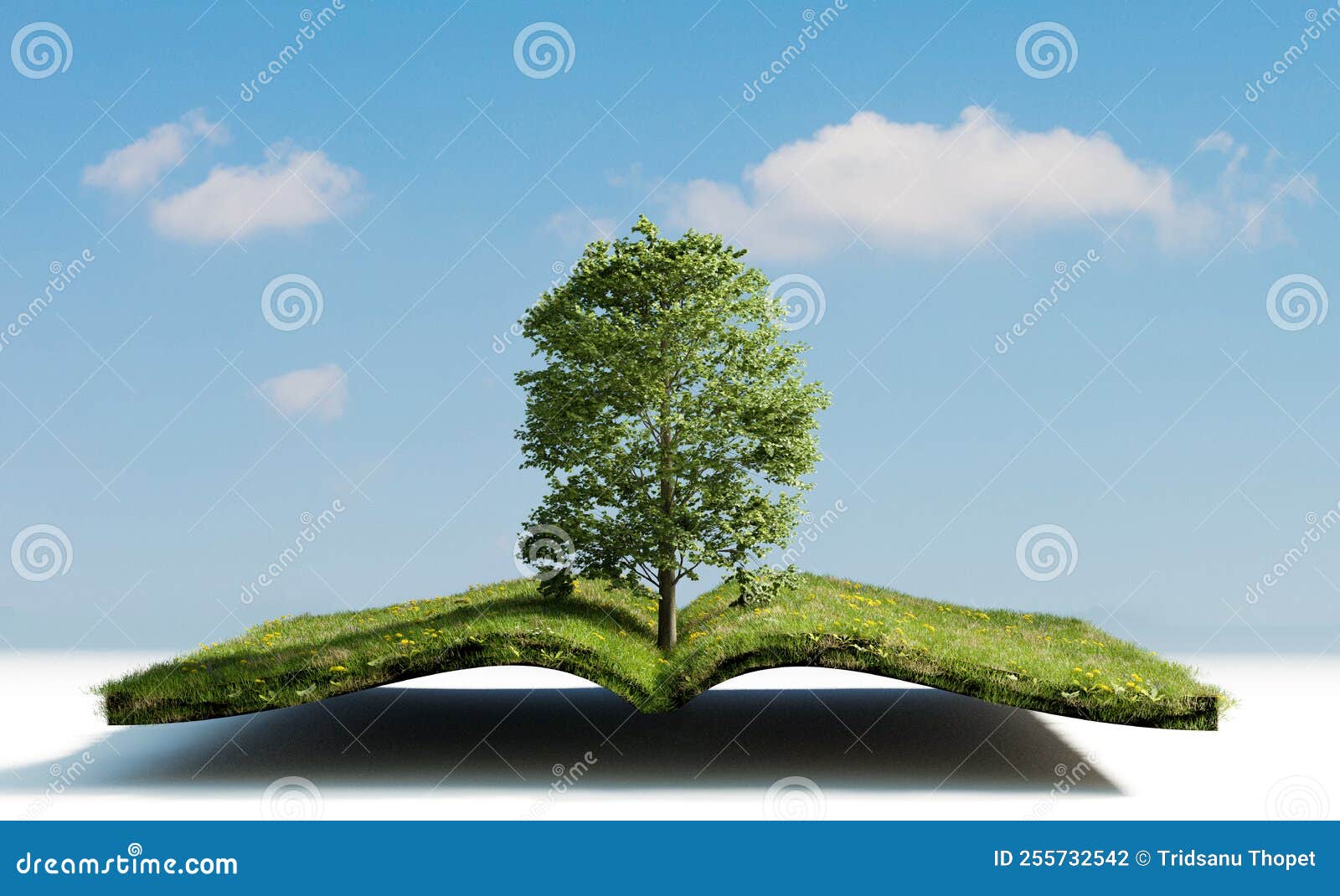 Open Book with Grass Field and Tree Inside Book Stock Illustration ...