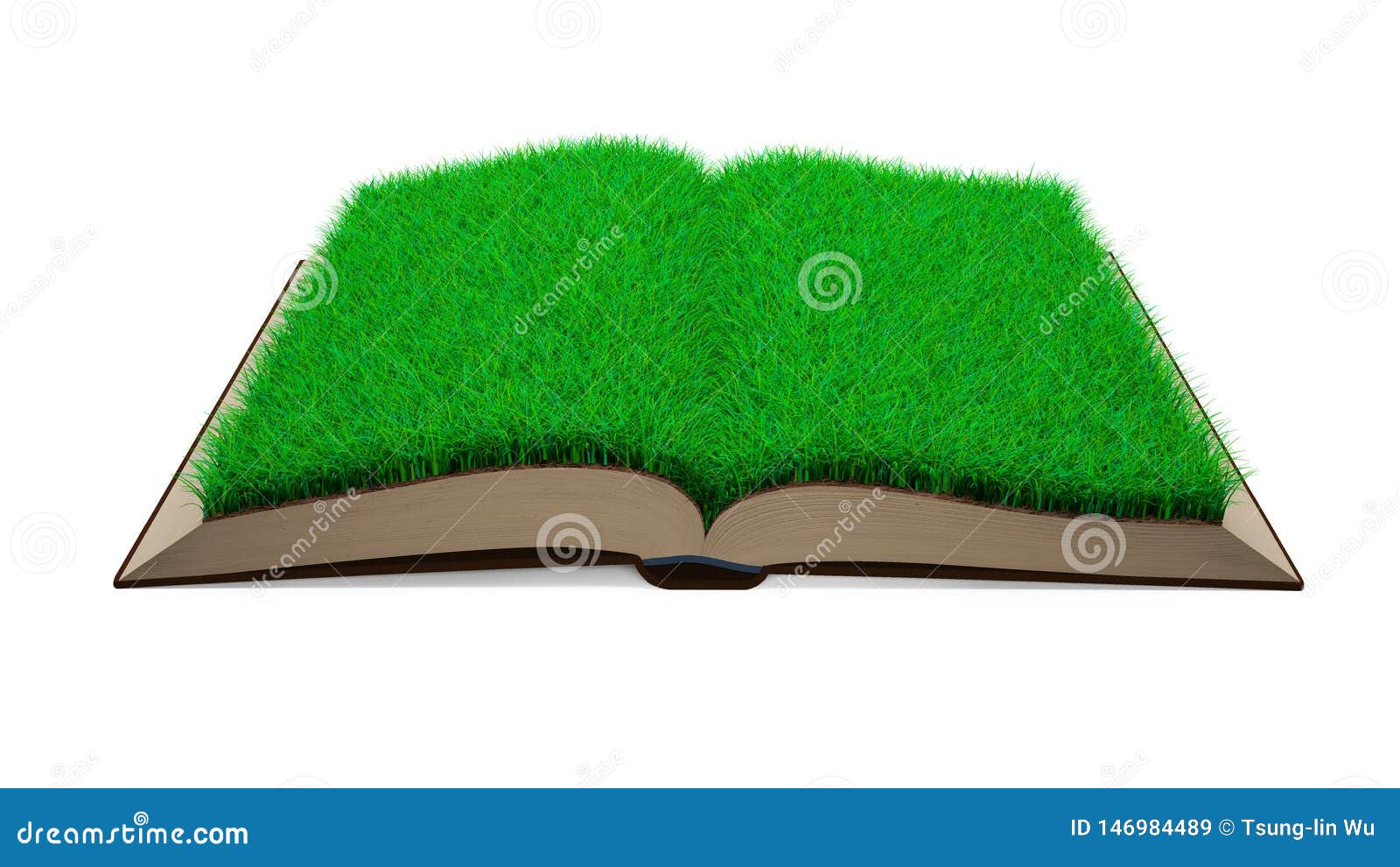 Open Book of Grass and Soil Texture Page. 3D Illustration Stock ...