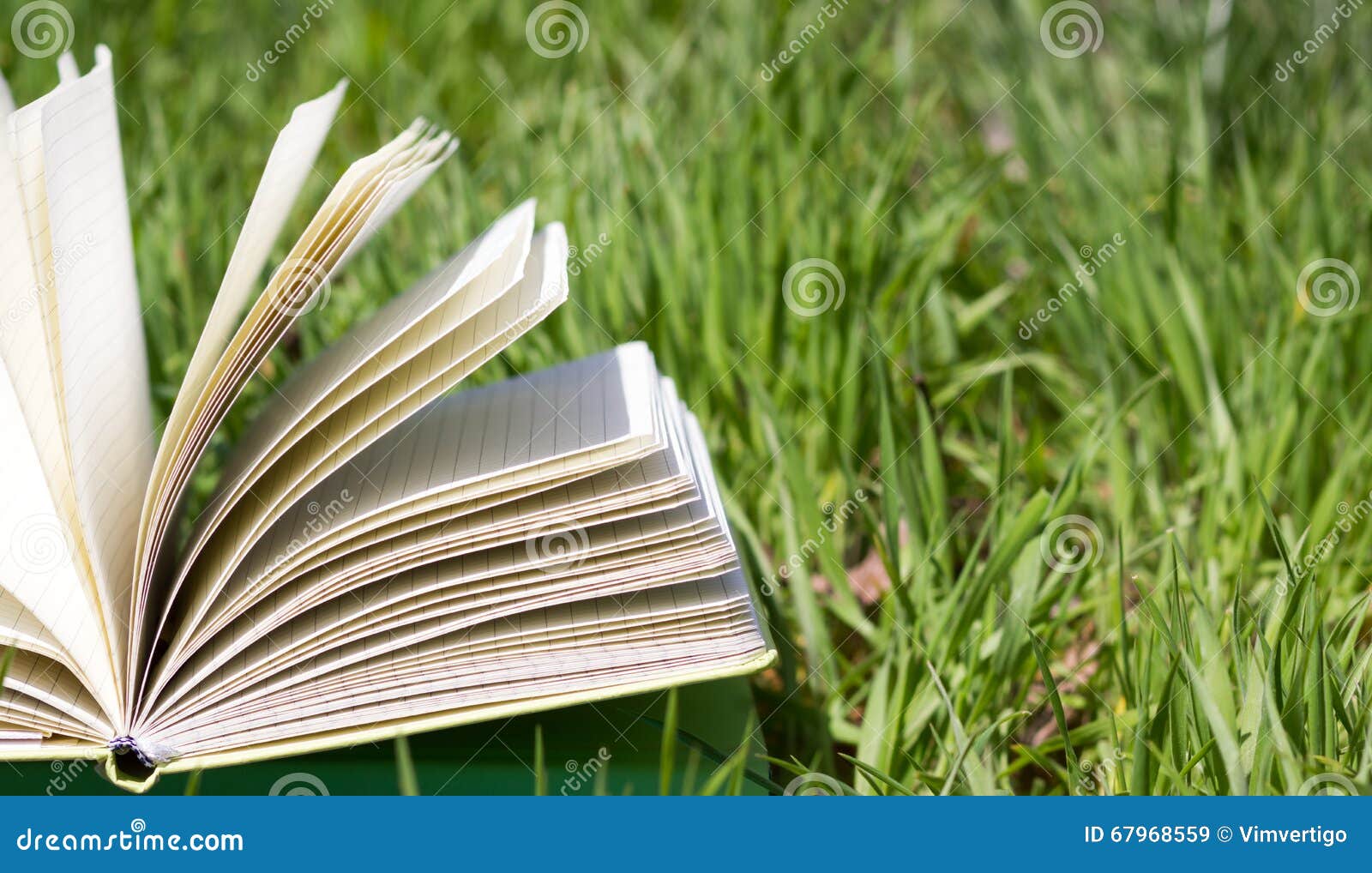 Open book in the grass stock image. Image of paper, homework - 67968559