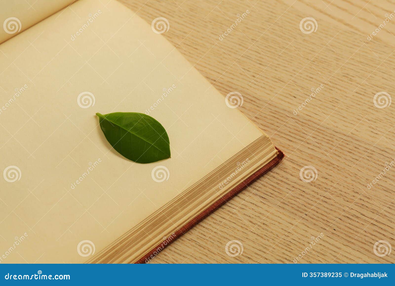 Open book green design stock image. Image of natural - 357389235