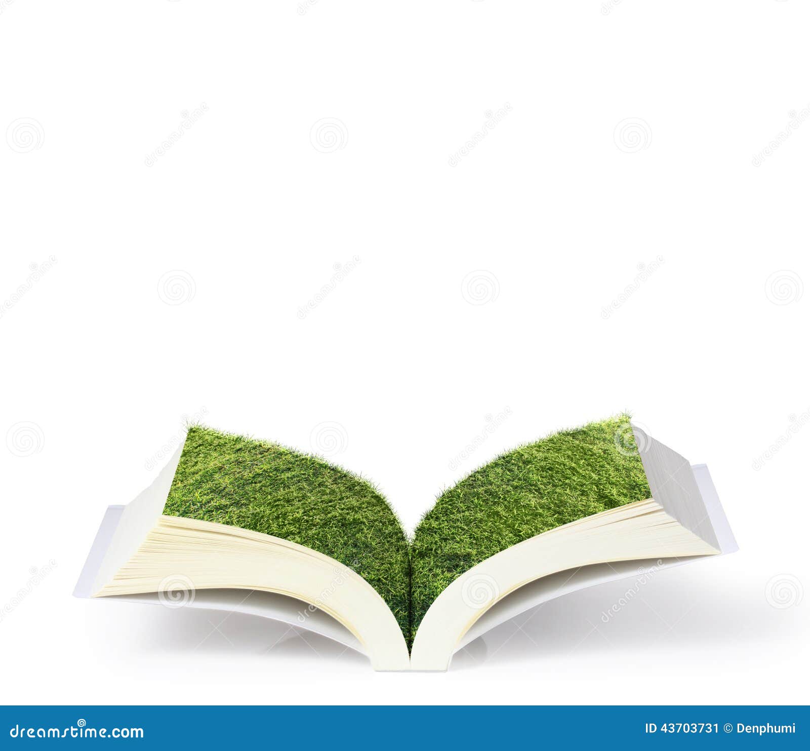 Open book with green tree stock illustration. Illustration of ...