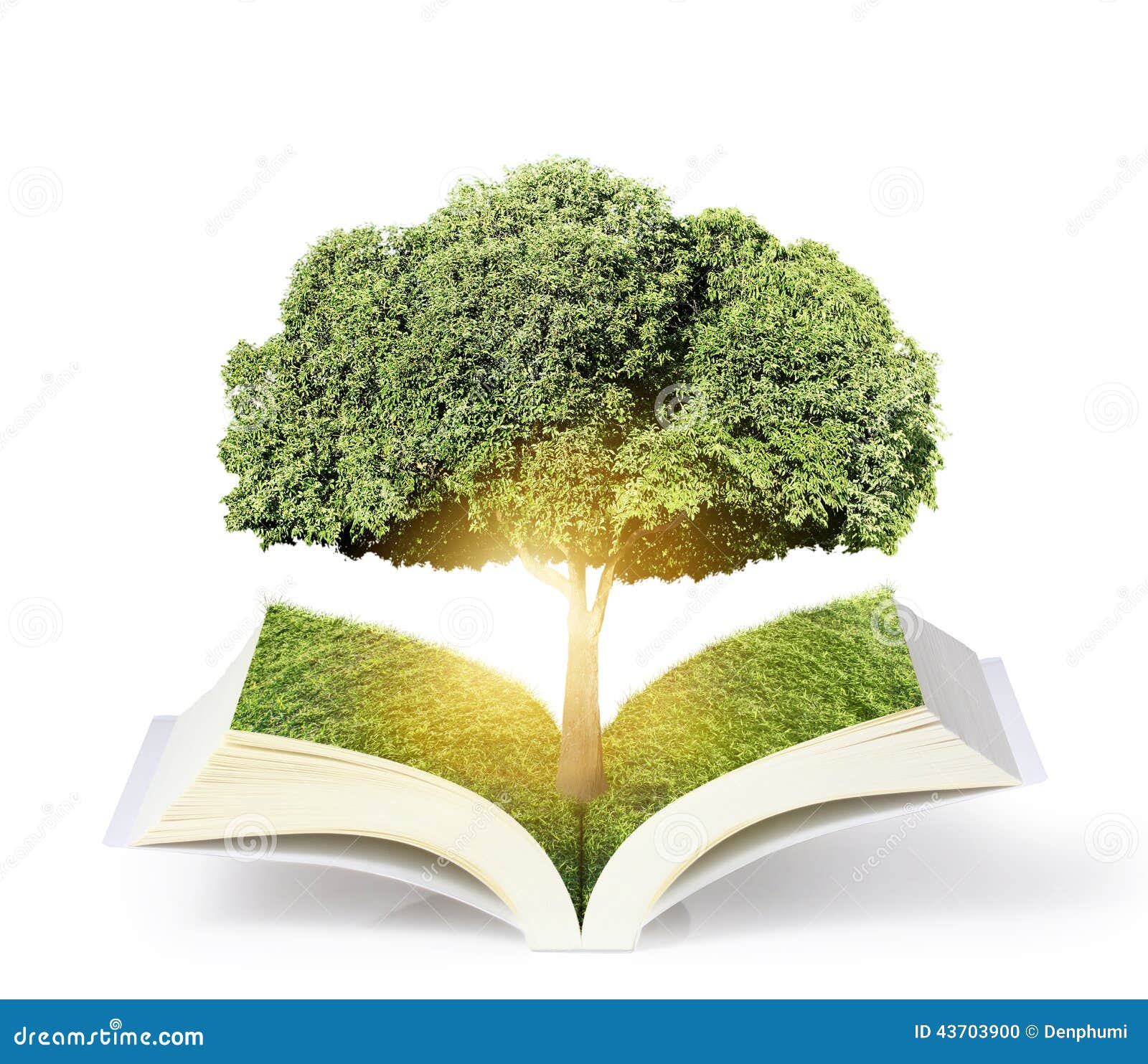 Open book with green tree stock illustration. Illustration of cover ...