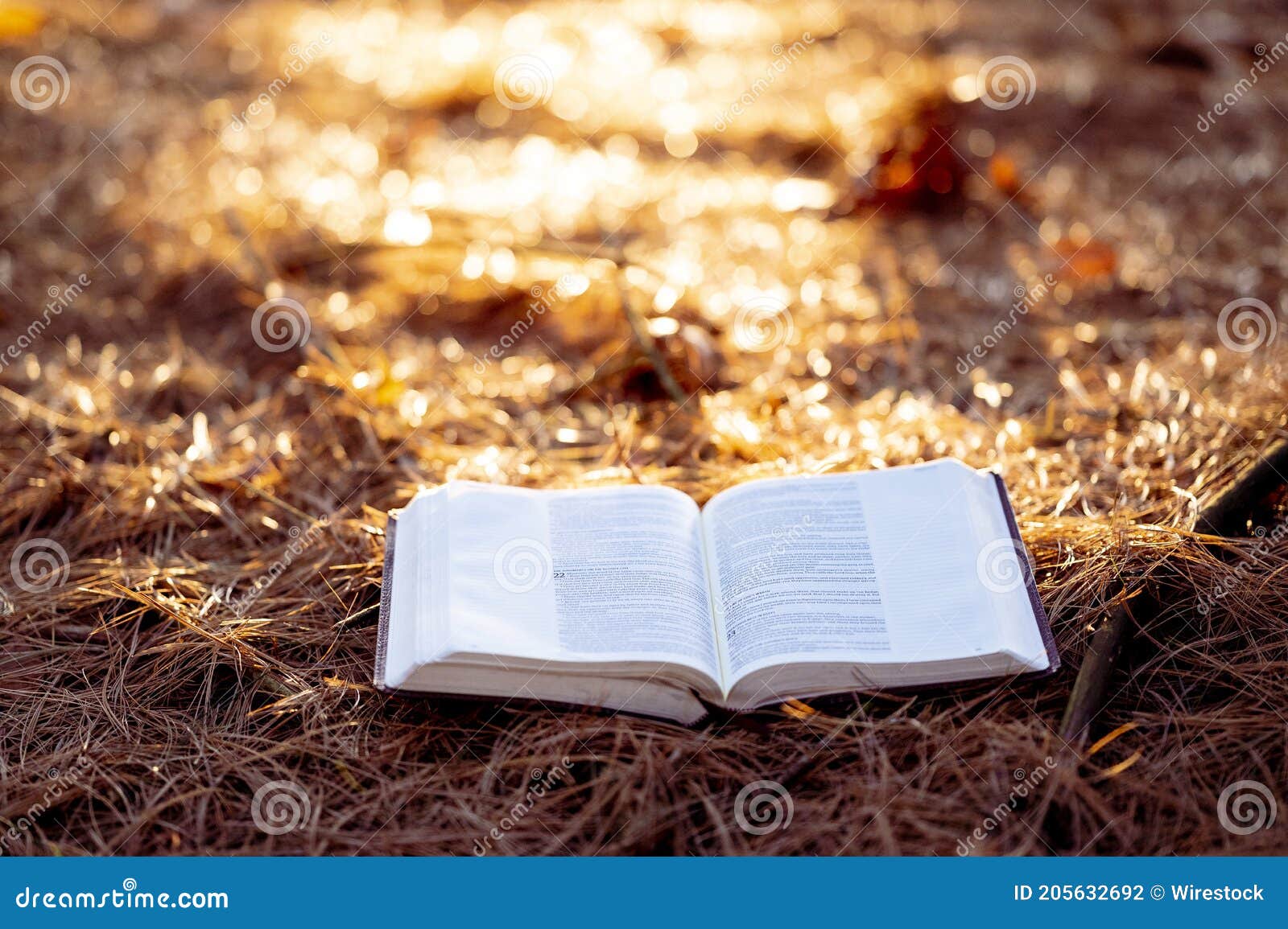 Open Book on the Ground Illuminated by the Sunlight - Education is a ...