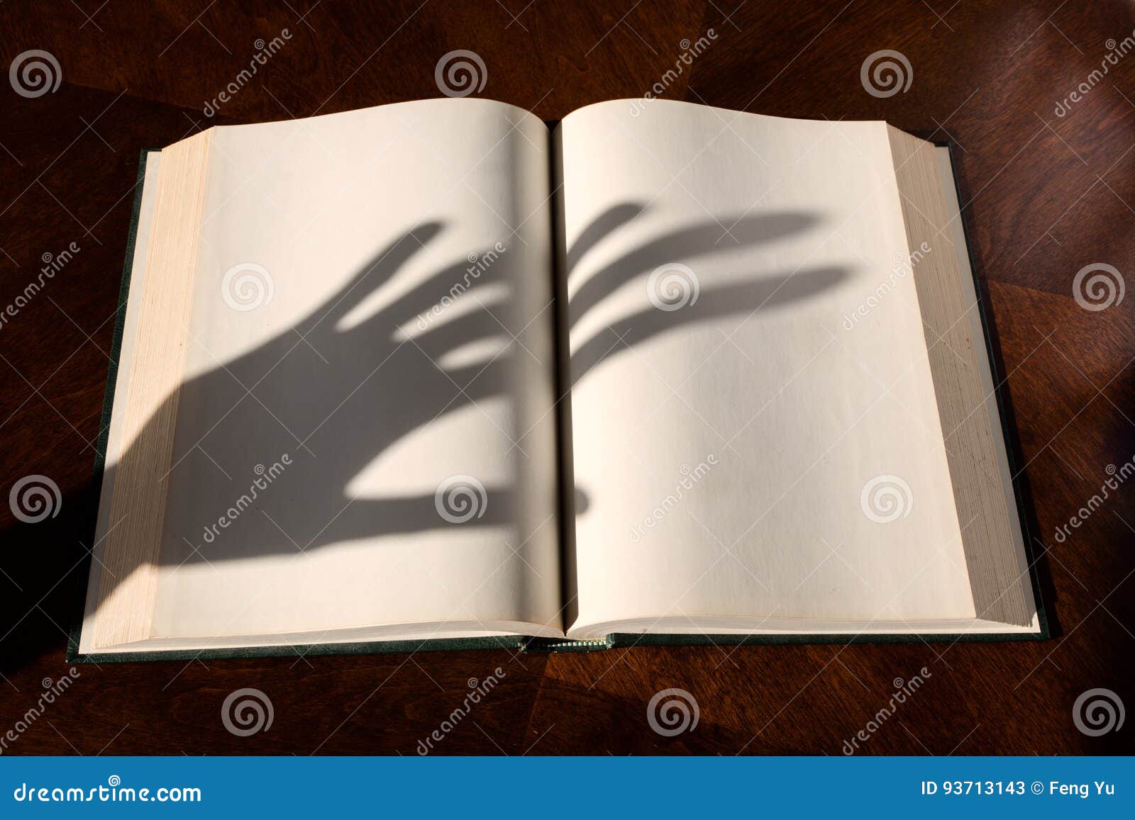 An Open Book and Hand Shadow Stock Image - Image of empty, hand: 93713143