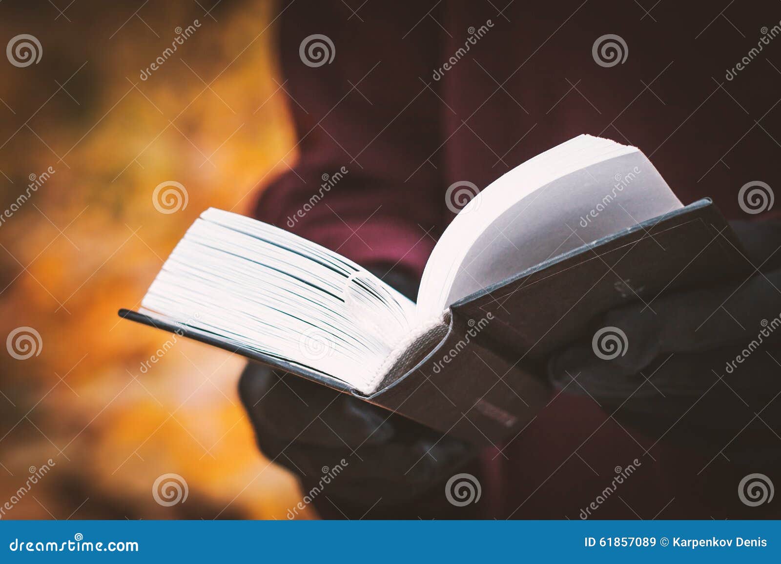Open Book in the Hand of the Woman Stock Image - Image of person, hand ...