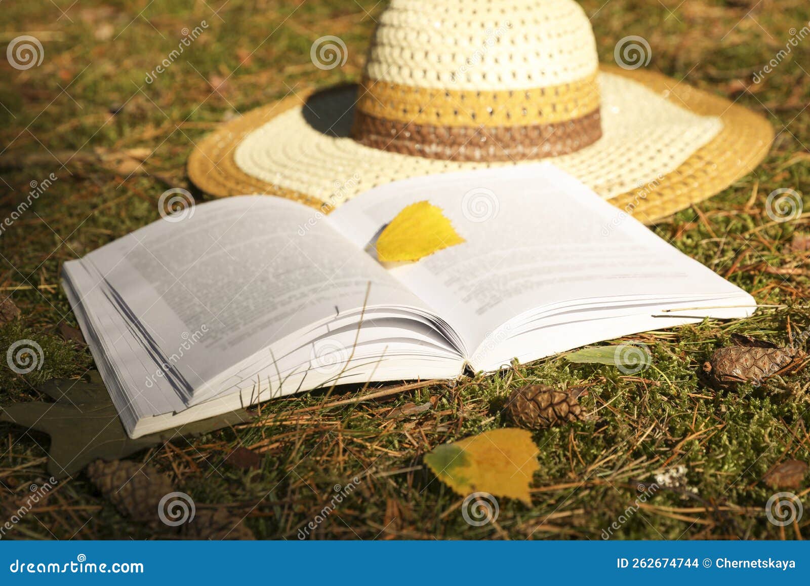 Open Book, Hat and Leaves on Grass Outdoors Stock Photo - Image of ...