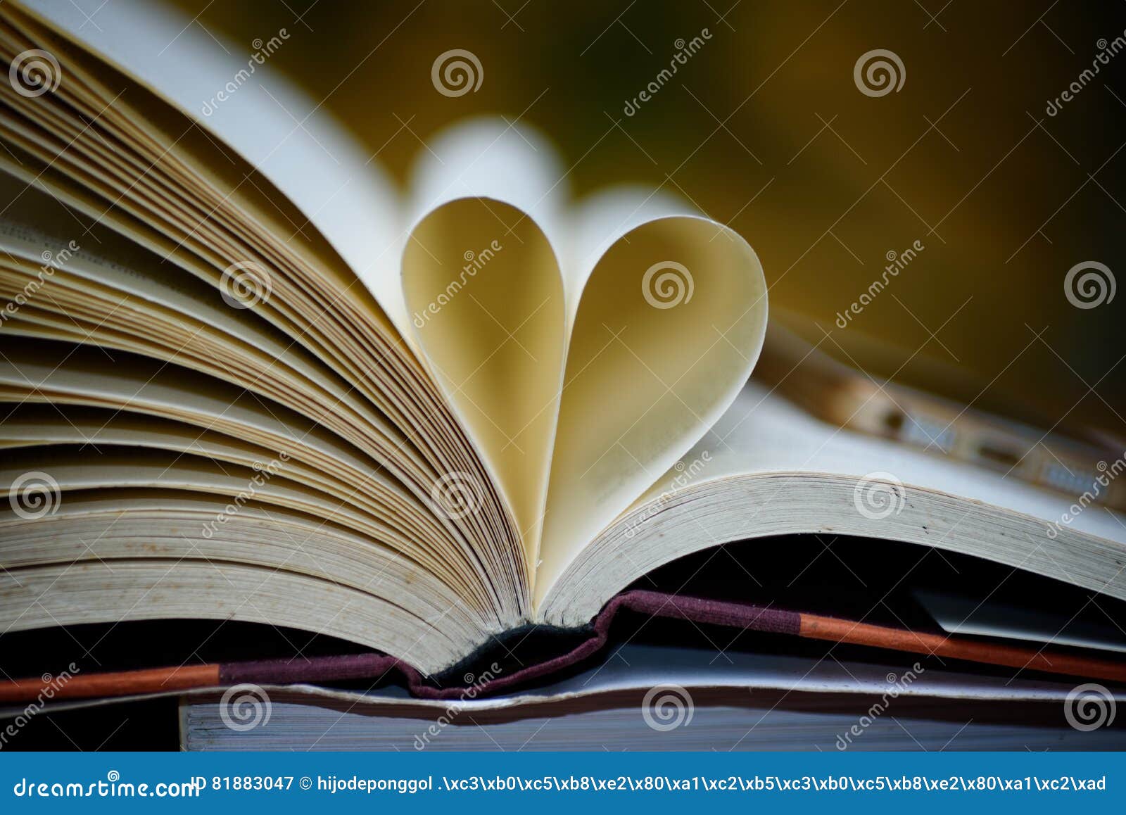 Open Book with Heart Shape Page Stock Image - Image of bookworm, page ...