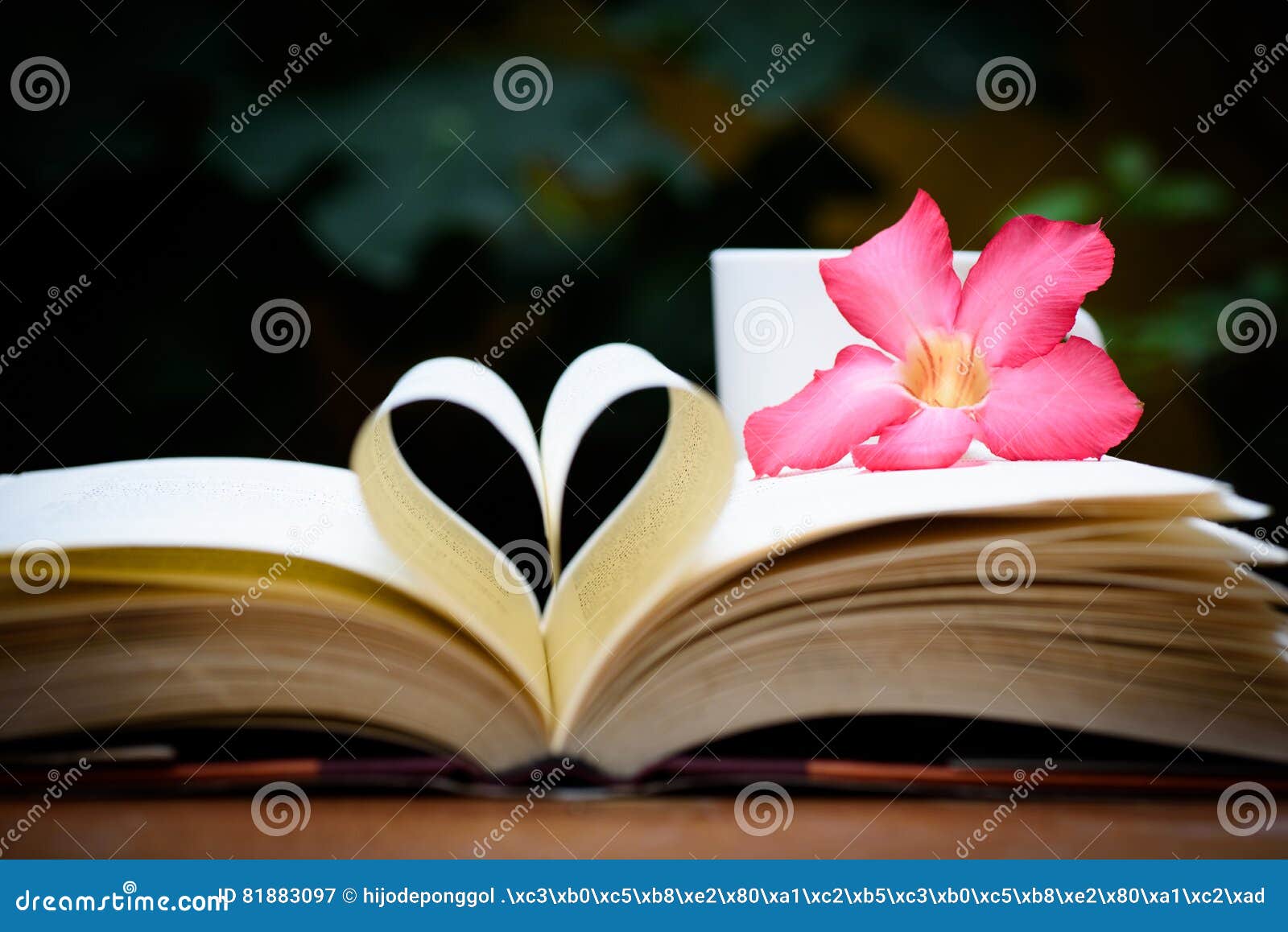 Open Book with Heart Shape Page Stock Image - Image of learning ...