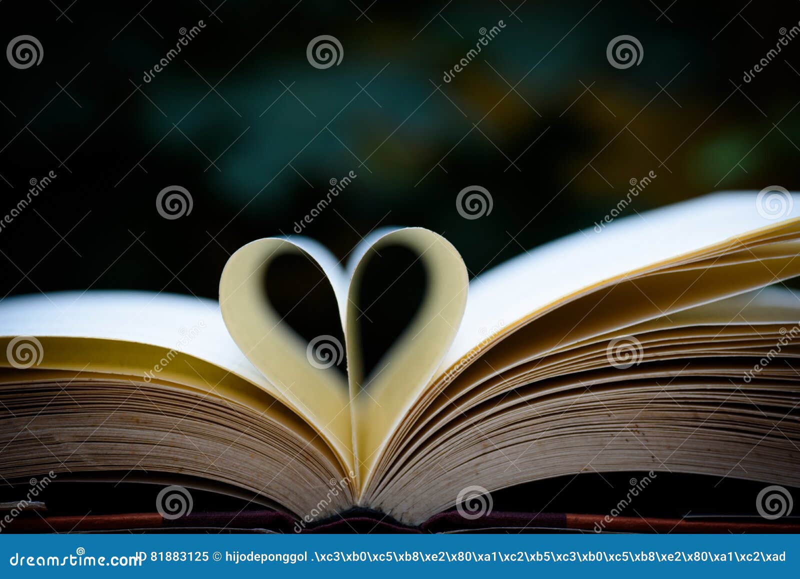 Open Book with Heart Shape Page Stock Image - Image of paper, romantic ...