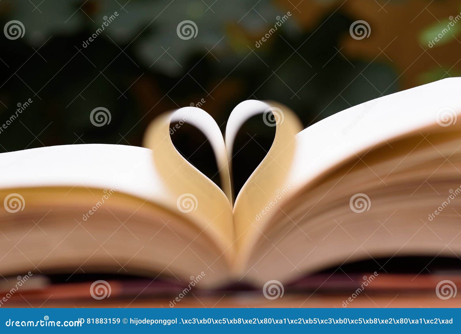 Open Book with Heart Shape Page Stock Image - Image of open, lover ...