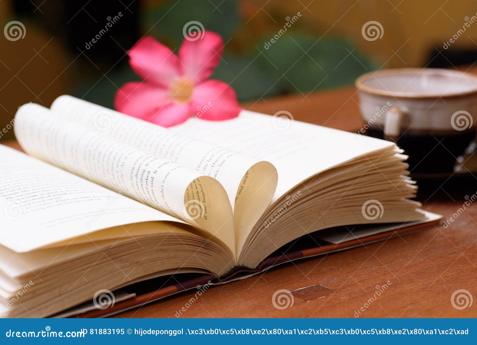 Open Book with Heart Shape Page Stock Image - Image of learn, light ...