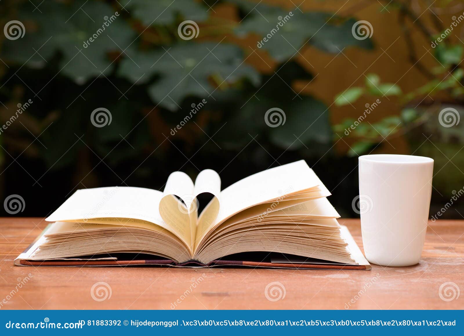 Open Book with Heart Shape Page Stock Photo - Image of learn, knowledge ...