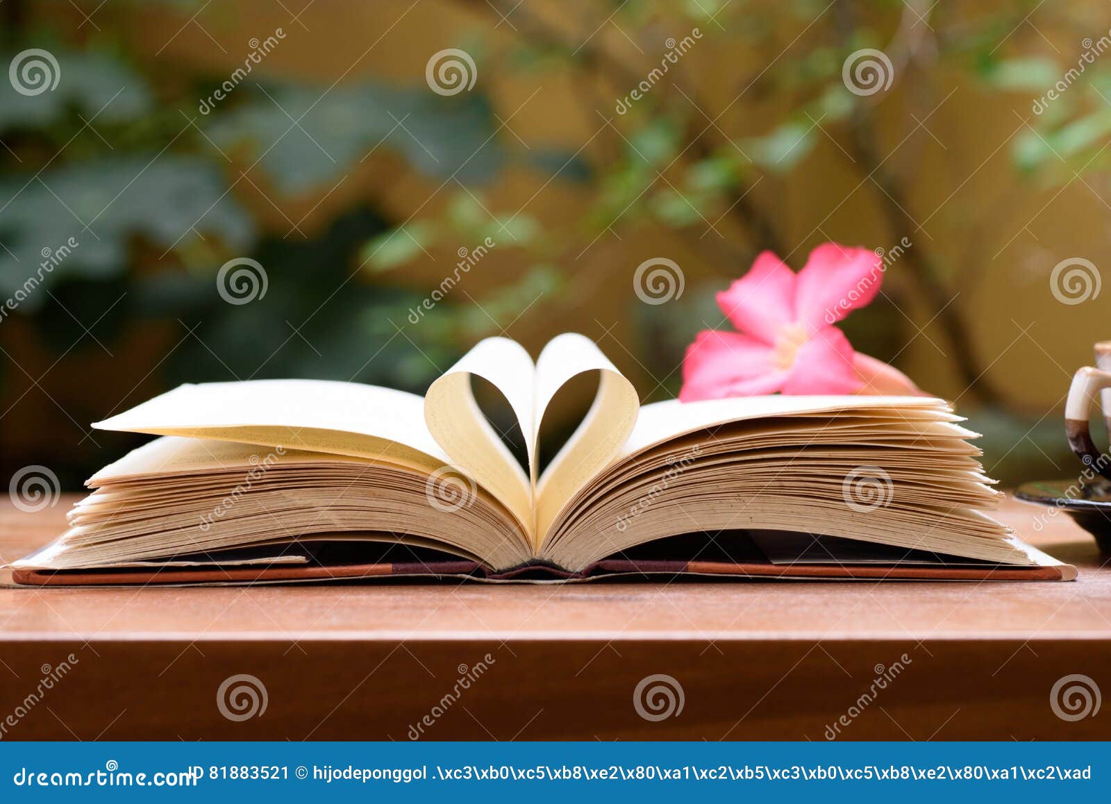 Real Open Book Heart