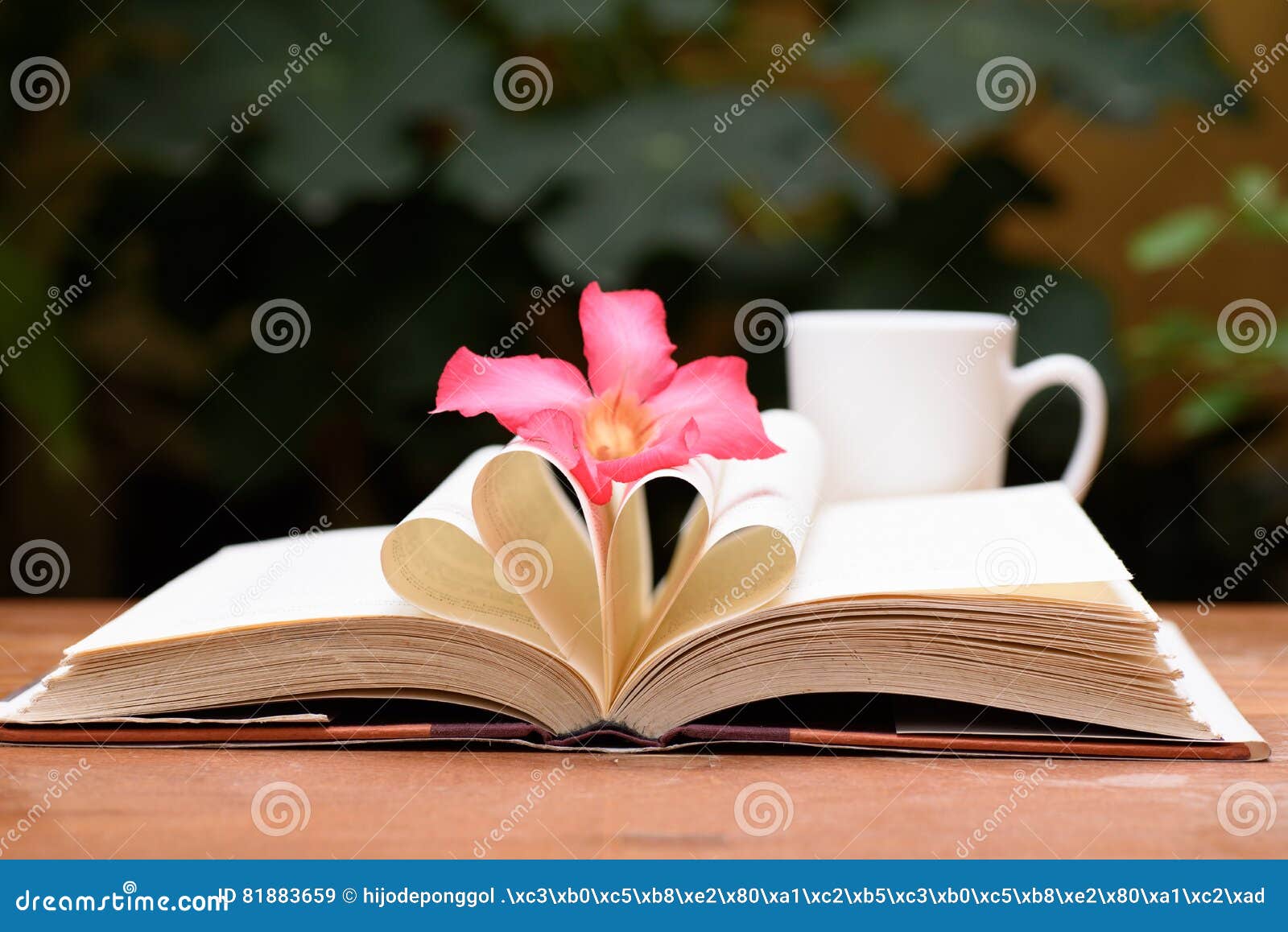 Open Book with Heart Shape Page Stock Image - Image of design, style ...