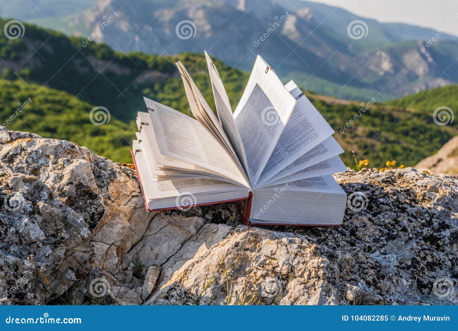Book in the mountains 3 stock image. Image of travel - 104082285