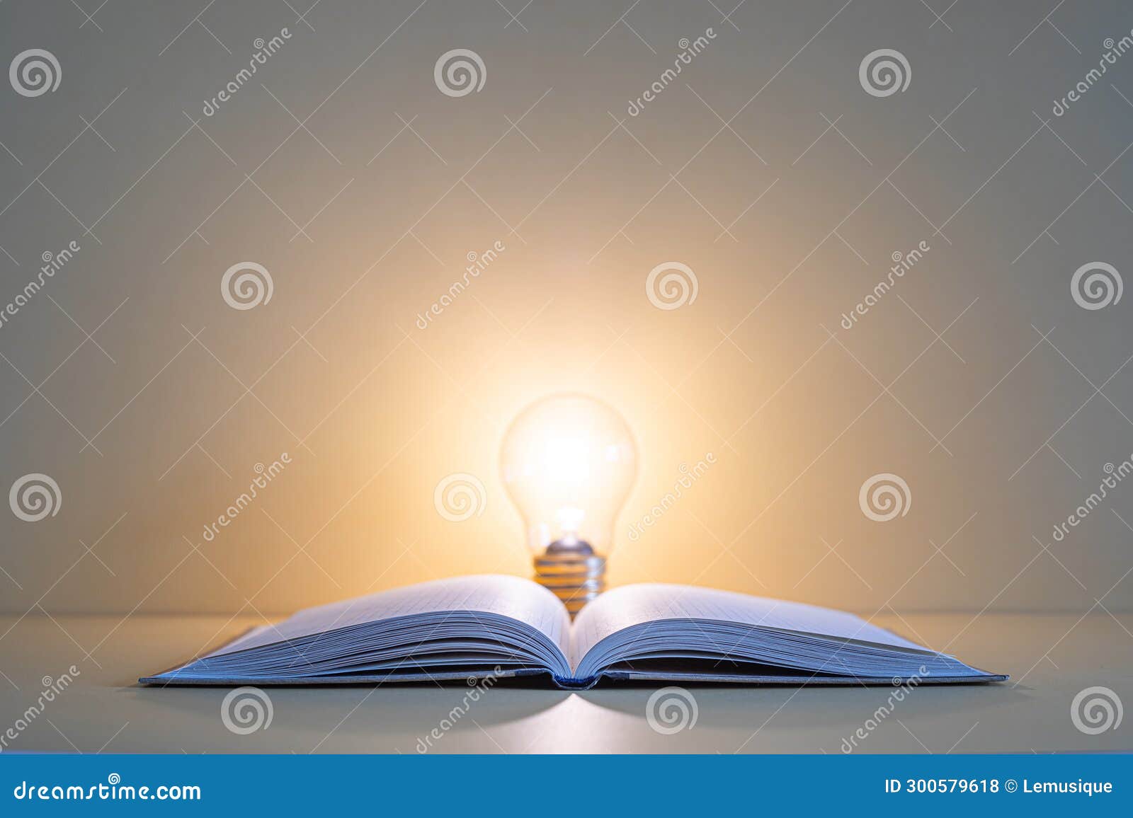 An Open Book Illuminated by a Light Bulb. Education and Knowledge ...