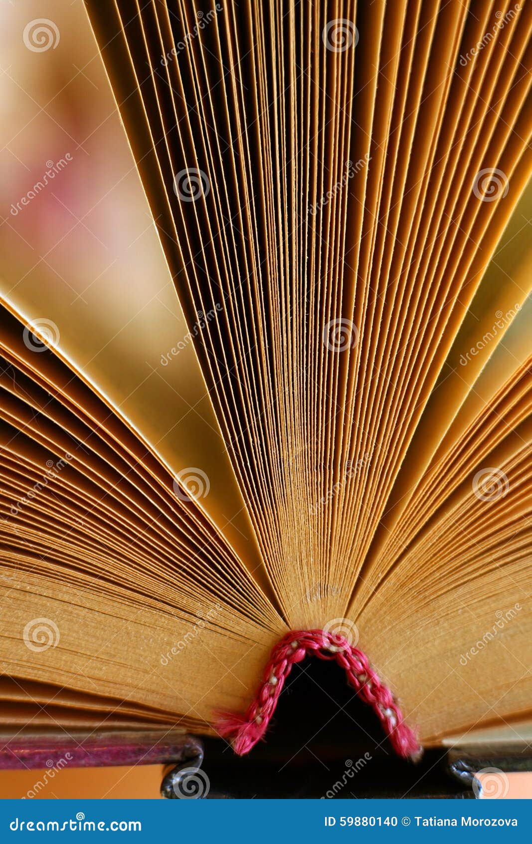 Open book stock photo. Image of readings, education, curiosity - 59880140