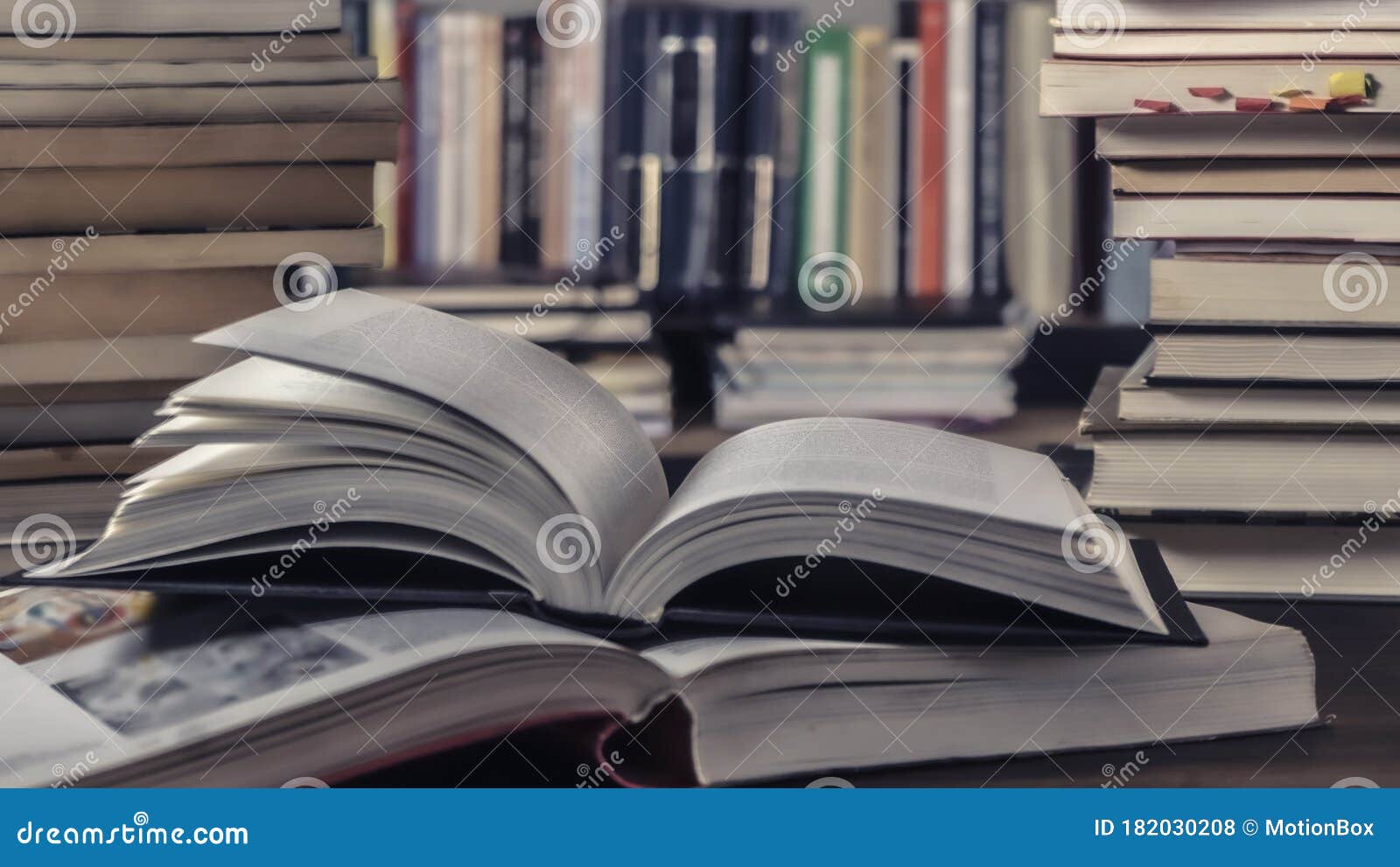 Open Book in Library Full of Stacks of Books. Stock Photo - Image of ...