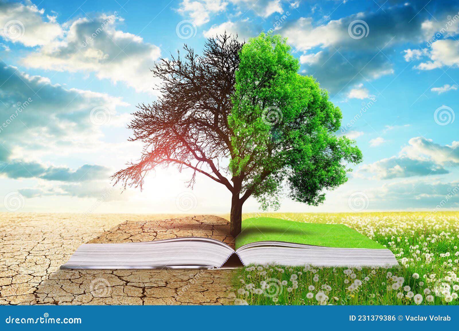 Open Book with Live and Dead Tree. Stock Photo - Image of heat, grass ...
