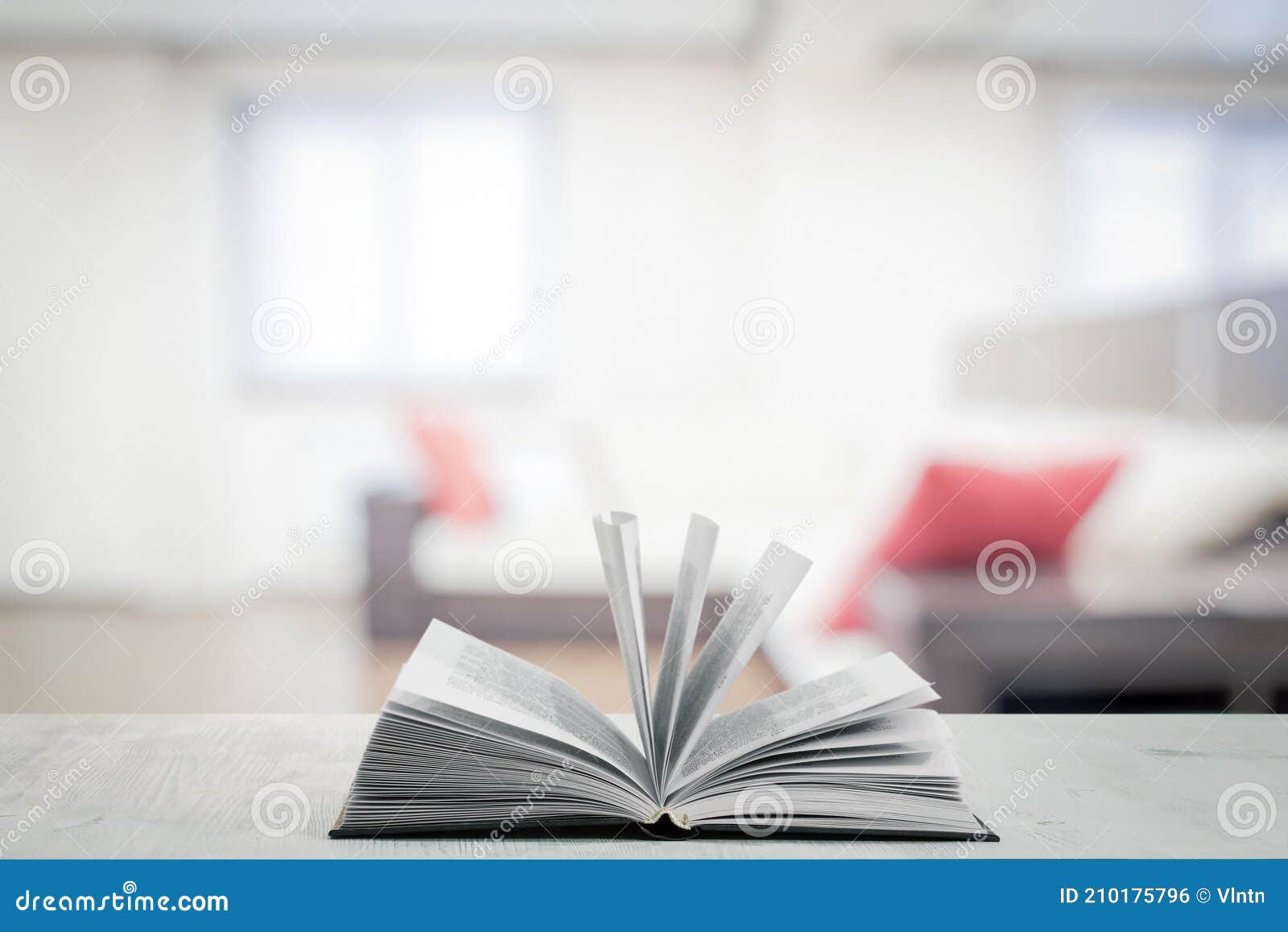 Open Book in the Living Room Stock Photo - Image of page, home: 210175796