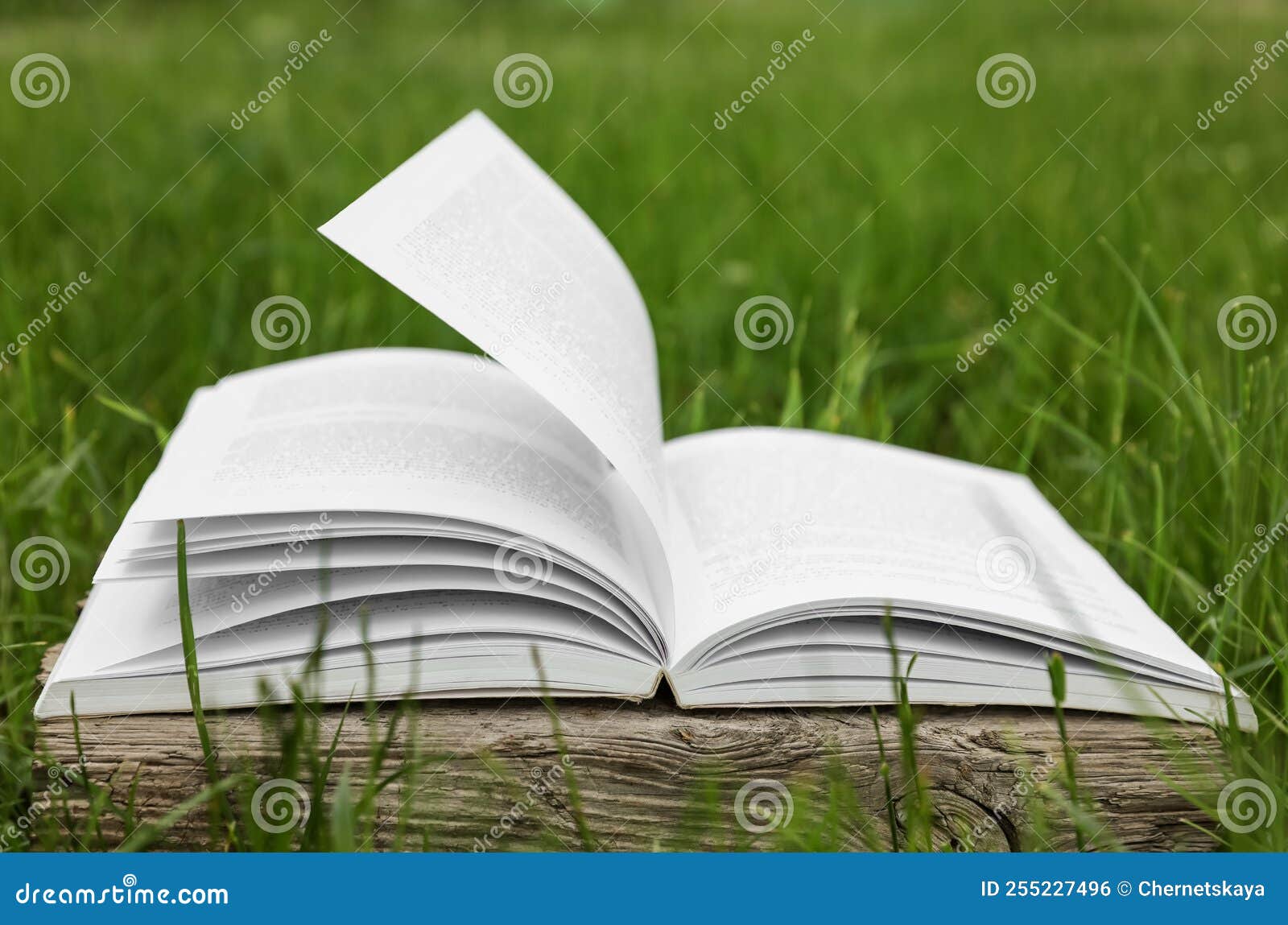 Open Book on Log among Green Grass Outdoors Stock Photo - Image of ...