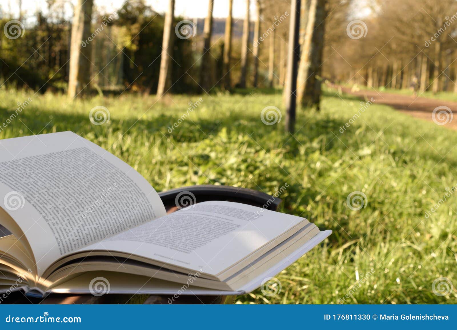 Open Book Lying on Bench in Green Park Stock Photo - Image of autumn ...