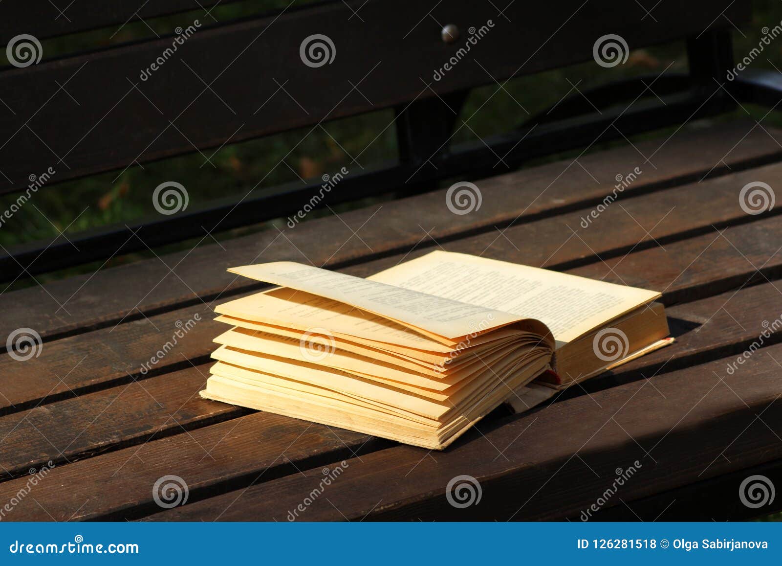 Open Book Lying on a Bench at Sunset Stock Photo - Image of hardcover ...