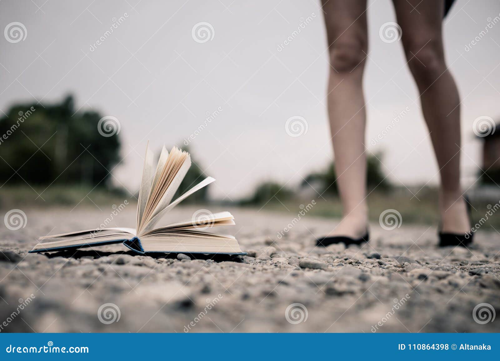Open Book Lying on the Road. Stock Photo - Image of concept, autumn ...