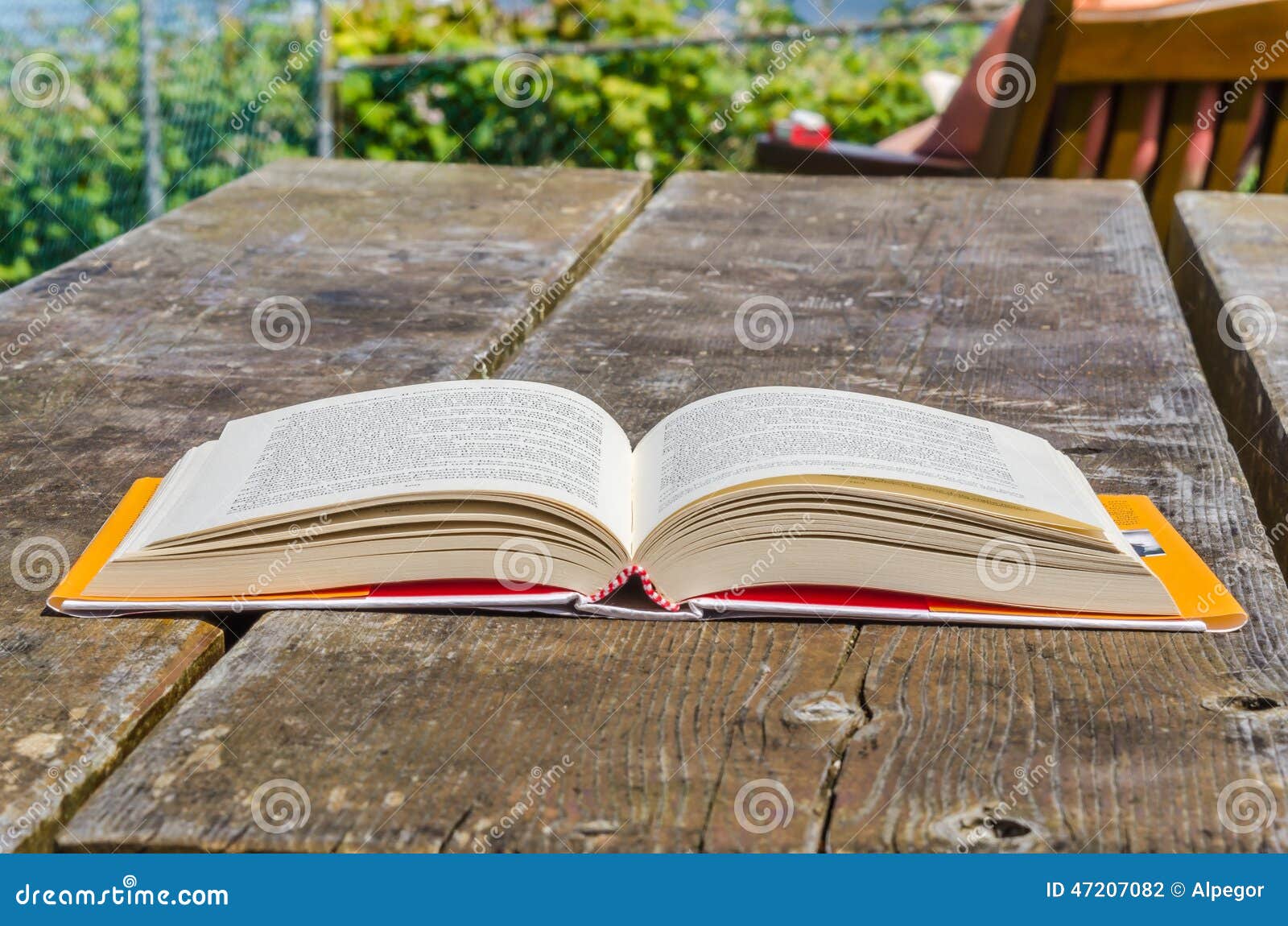 Open Book Lying on a Table Outdoor Stock Photo - Image of open ...