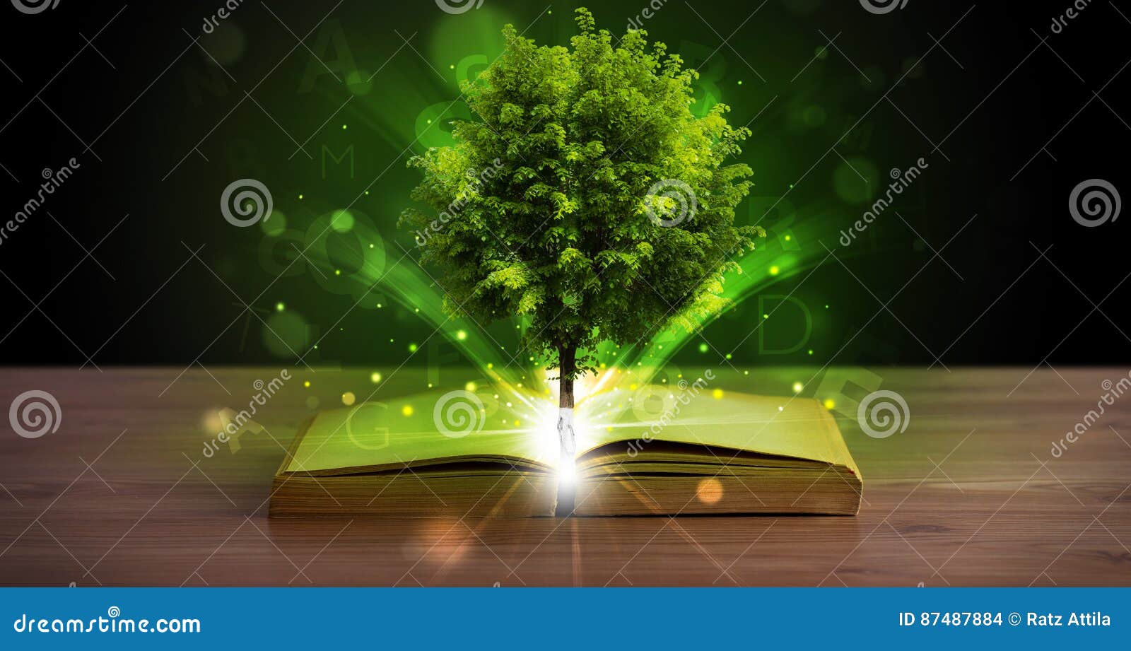Open Book with Magical Green Tree and Rays of Light Stock Illustration ...