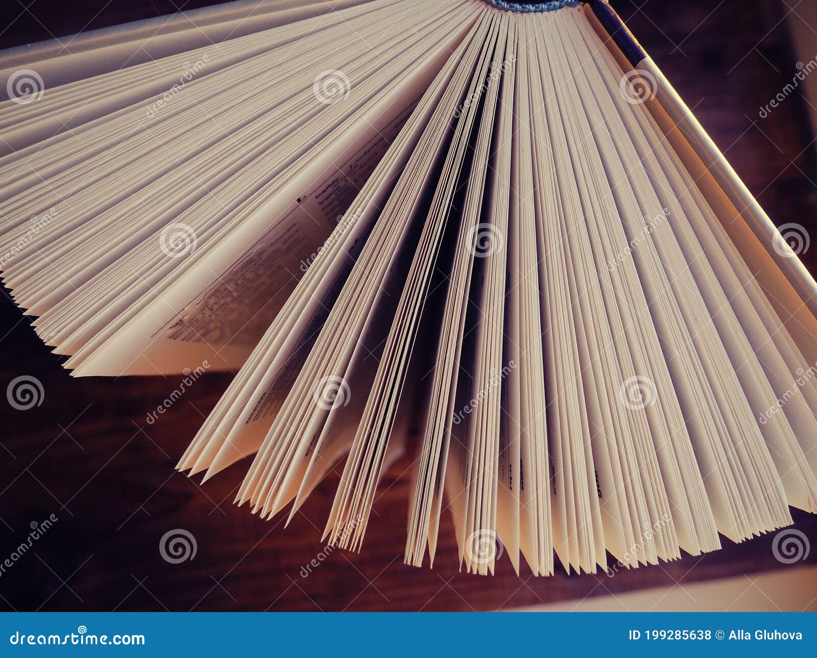 Open Book, Many Sheets of Fans Top View, As a Background for the Design ...