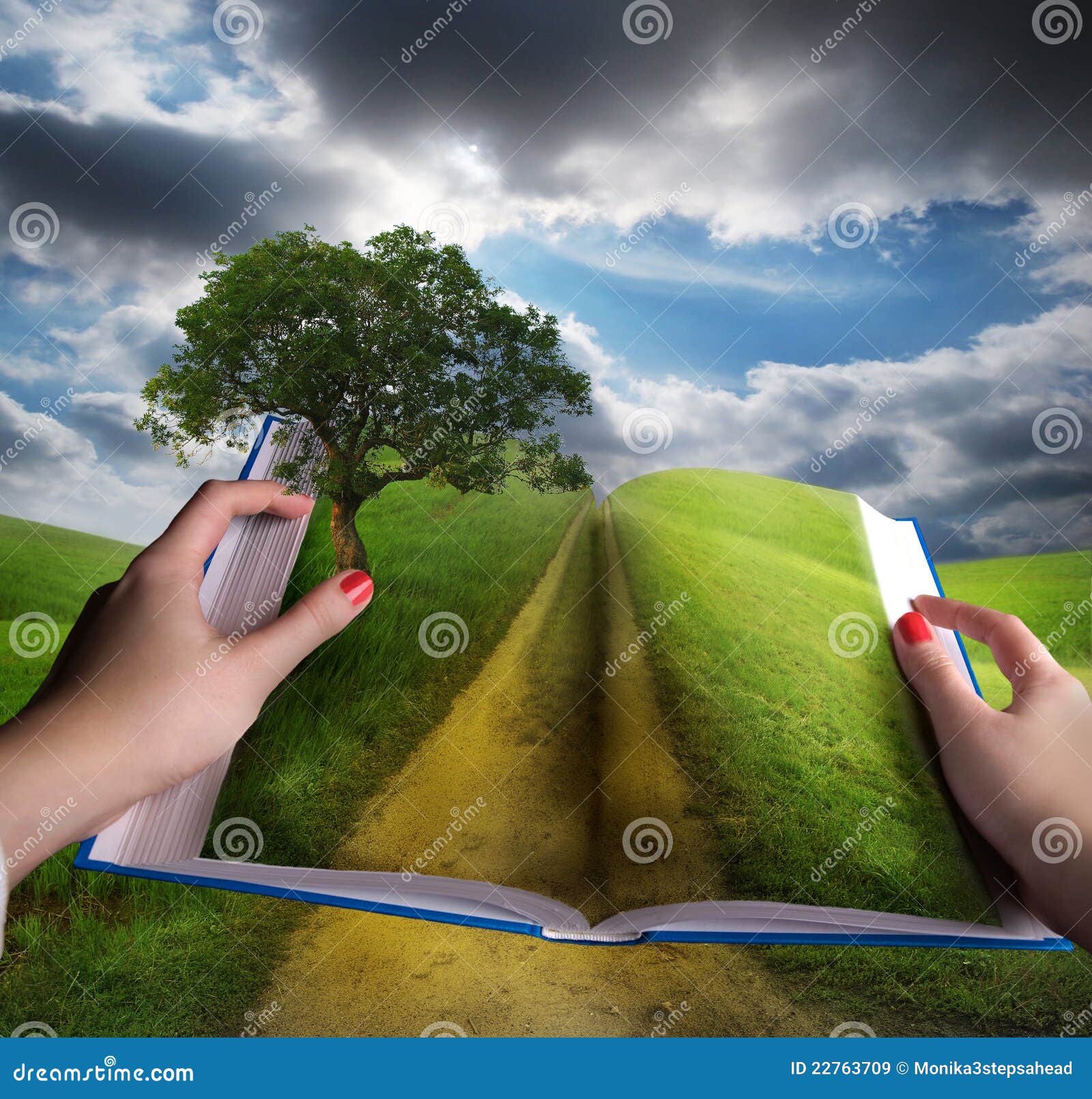 Open Book and Meadow Landscape Stock Illustration - Illustration of ...
