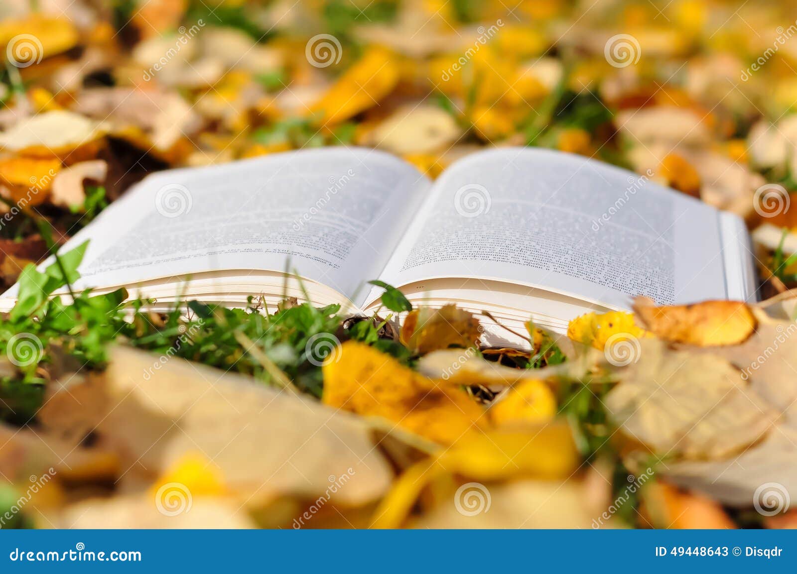 Open book in nature stock image. Image of object, relax - 49448643