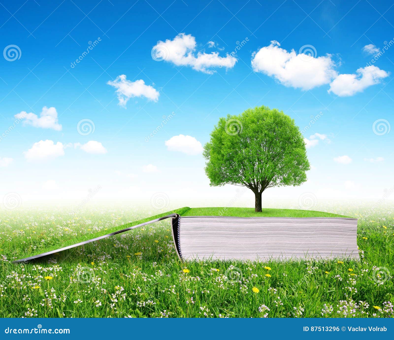 Open Book Nature Stock Photos - Download 9,485 Royalty Free Photos