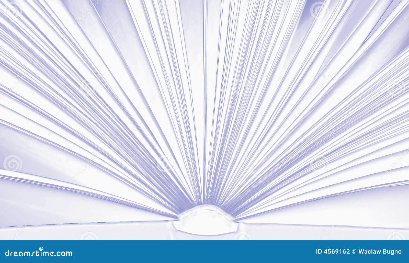 Open book, nice background stock illustration. Illustration of letters ...