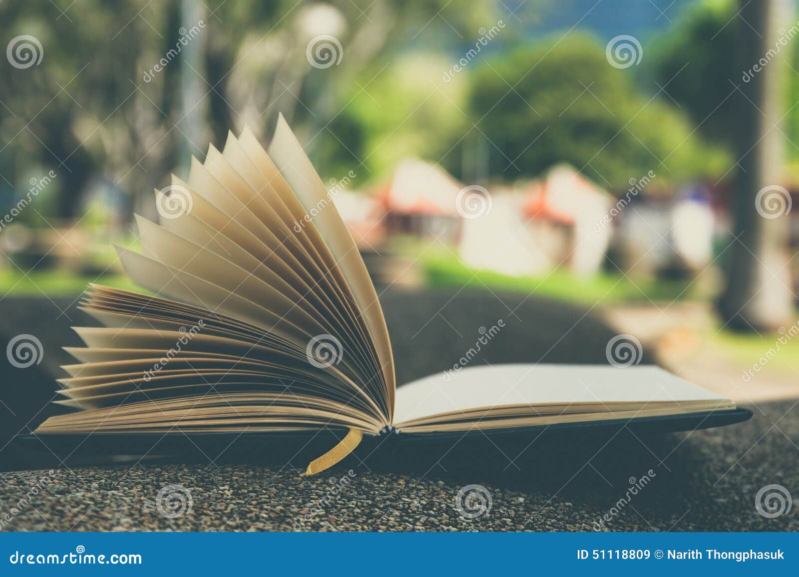Open book, note stock image. Image of blank, note, literature - 51118809