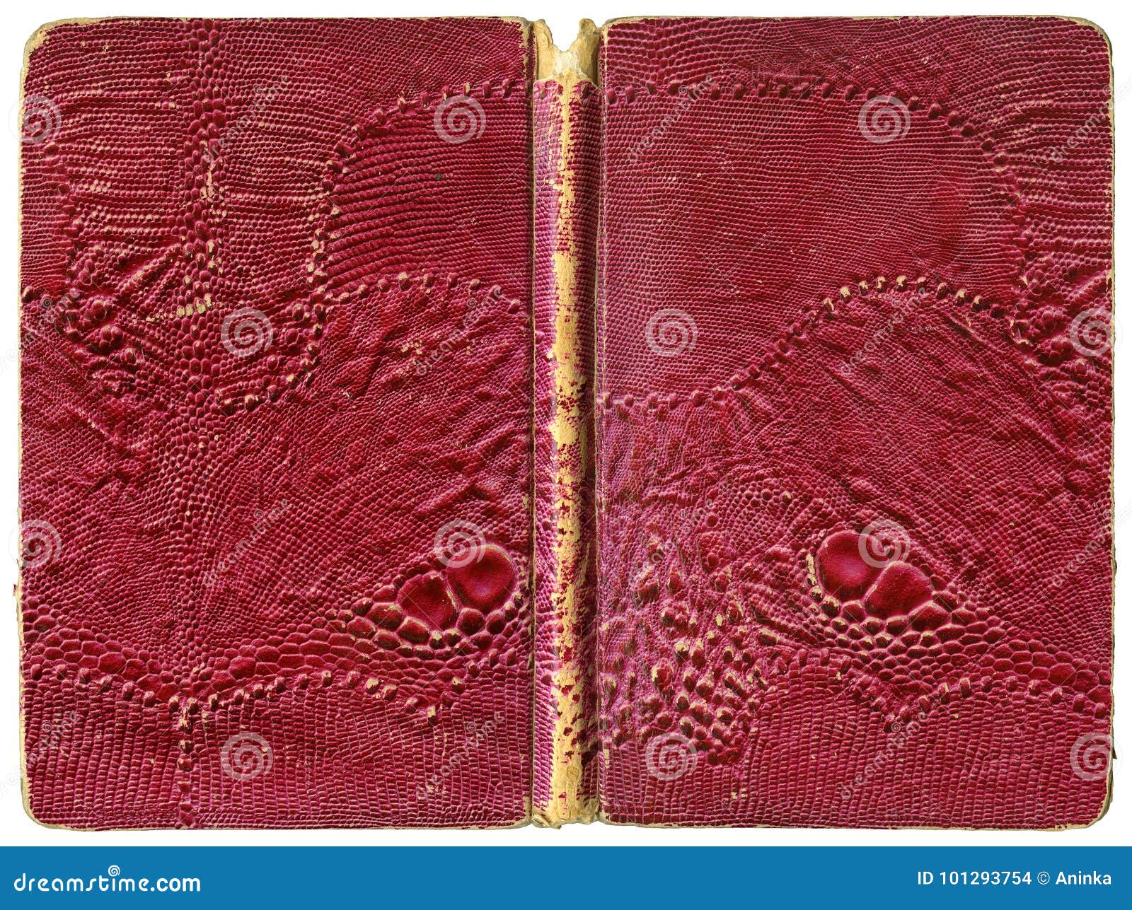 Open Book or Notebook - Tattered Vintage Cover with Artificial Lizard ...