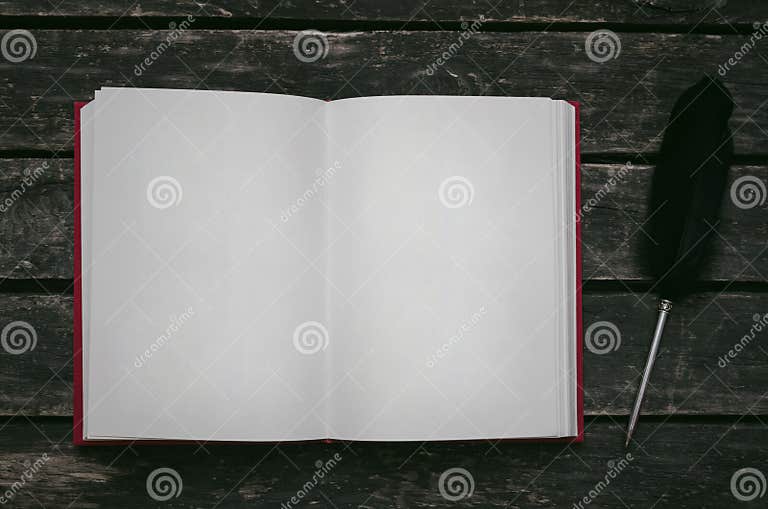 Open book. stock image. Image of feather, book, pages - 128906721